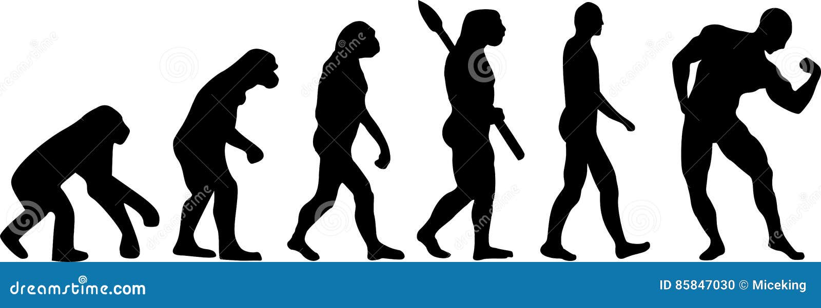 Evolution Muscle stock vector. Illustration of exercise - 85847030