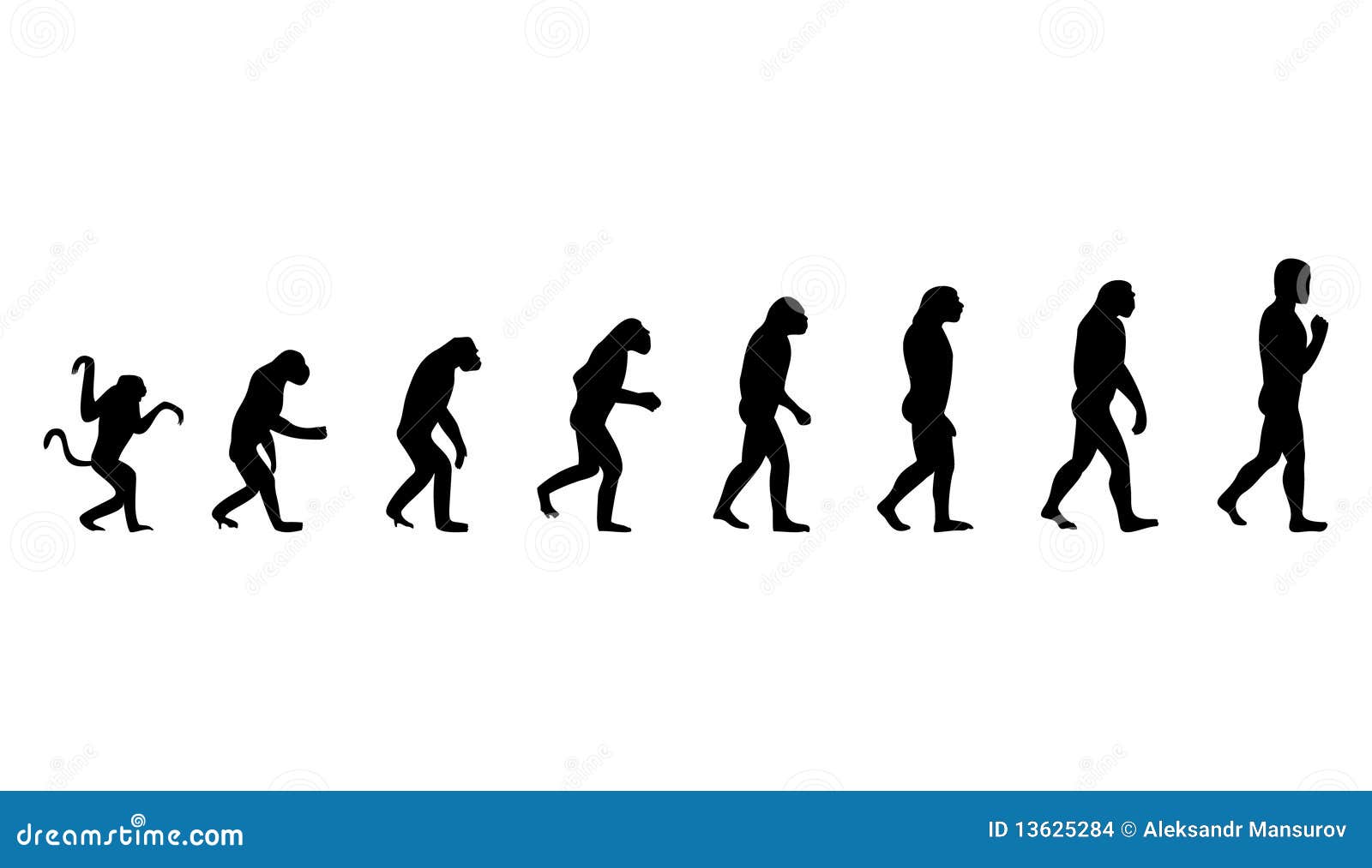 Evolution of the person stock vector. Illustration of silhouette - 13625284
