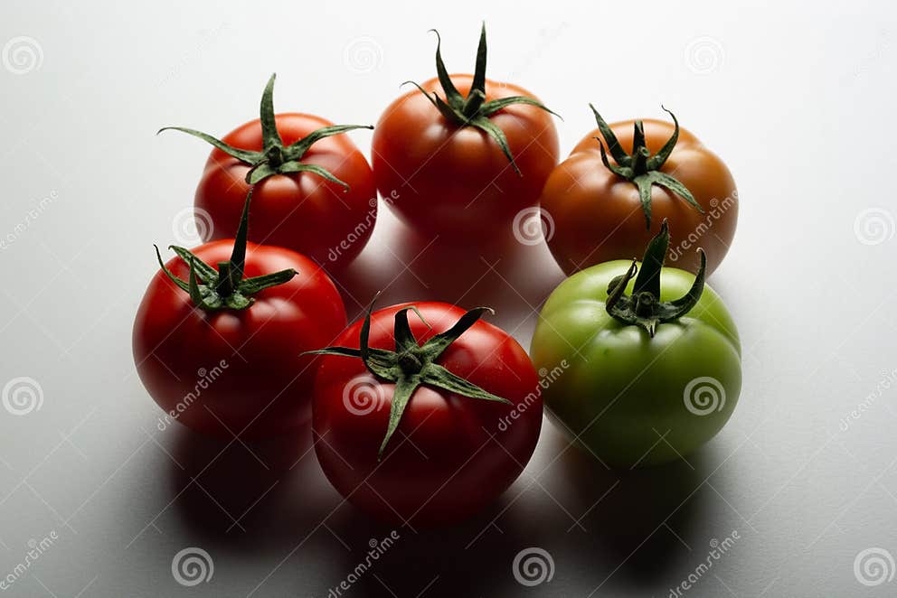 Evolution of red tomato stock image. Image of group - 133987523