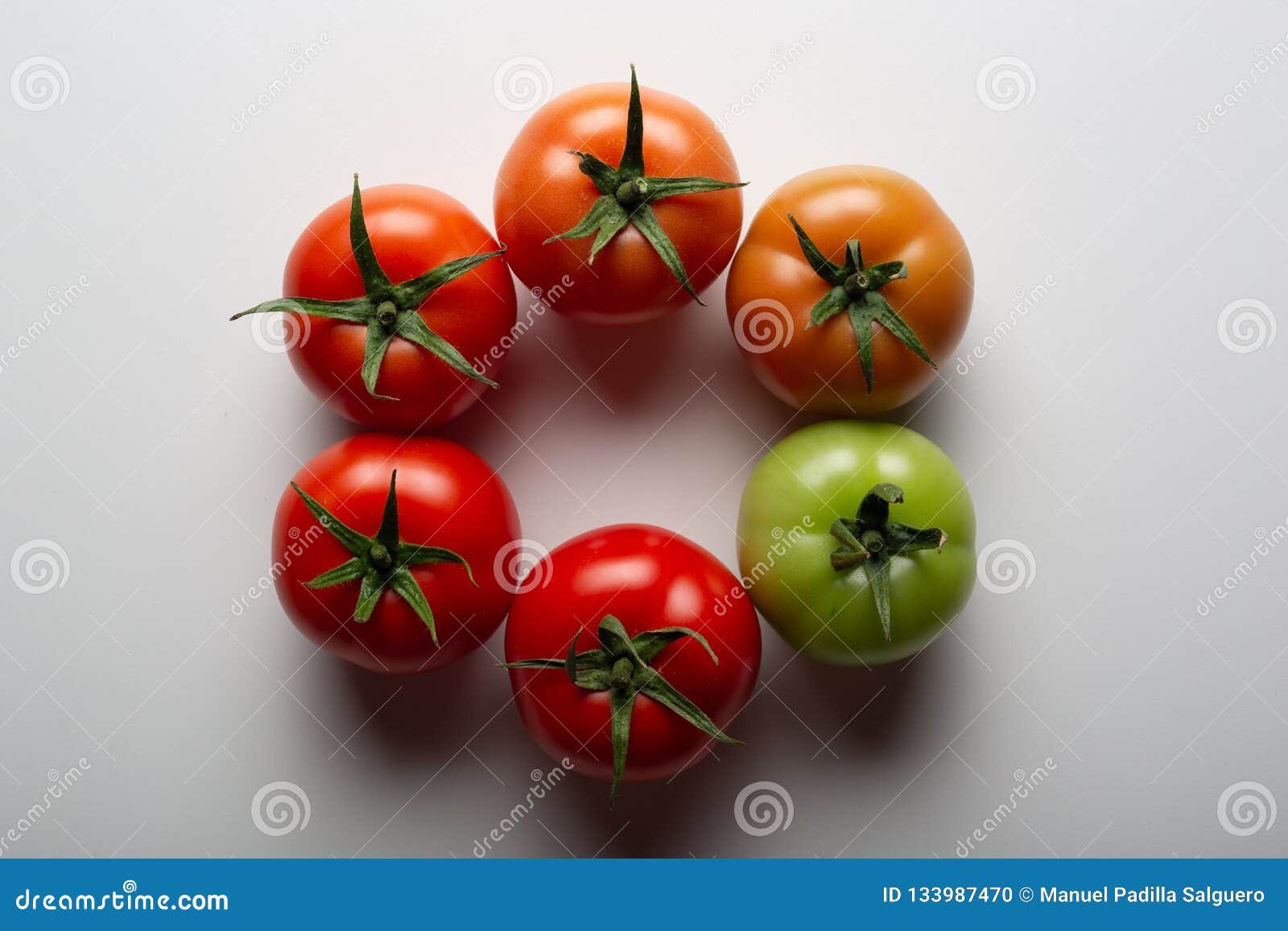 Evolution of red tomato stock photo. Image of development - 133987470