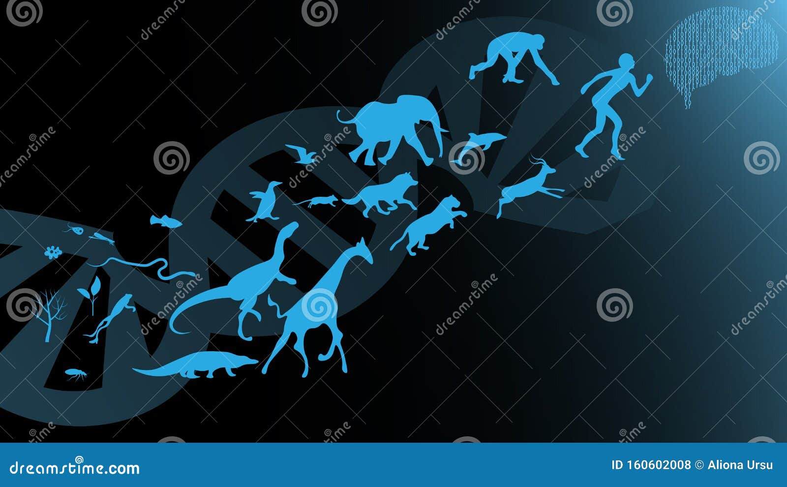 Evolution of Species. DNA - the Molecule of Life Stock Vector ...