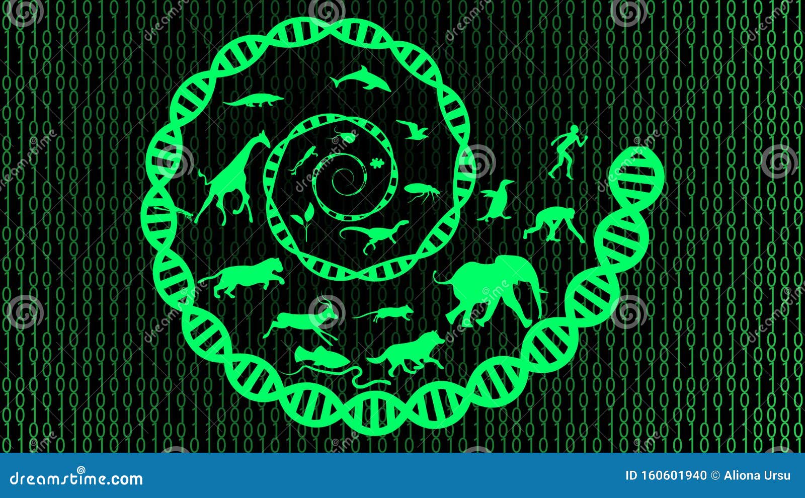 Evolution of Species. DNA - the Molecule of Life Stock Vector ...