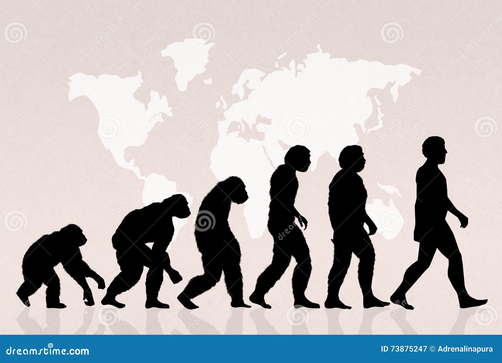 Evolution of the species stock illustration. Illustration of life ...