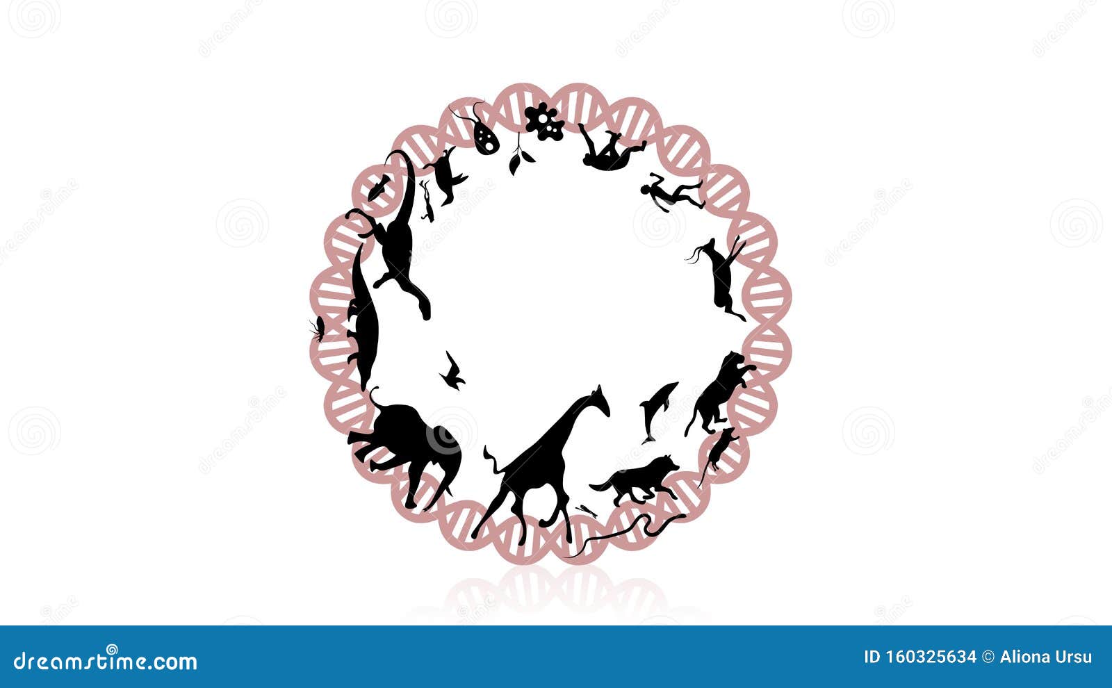 Evolution of Species Illustration Stock Vector - Illustration of ...