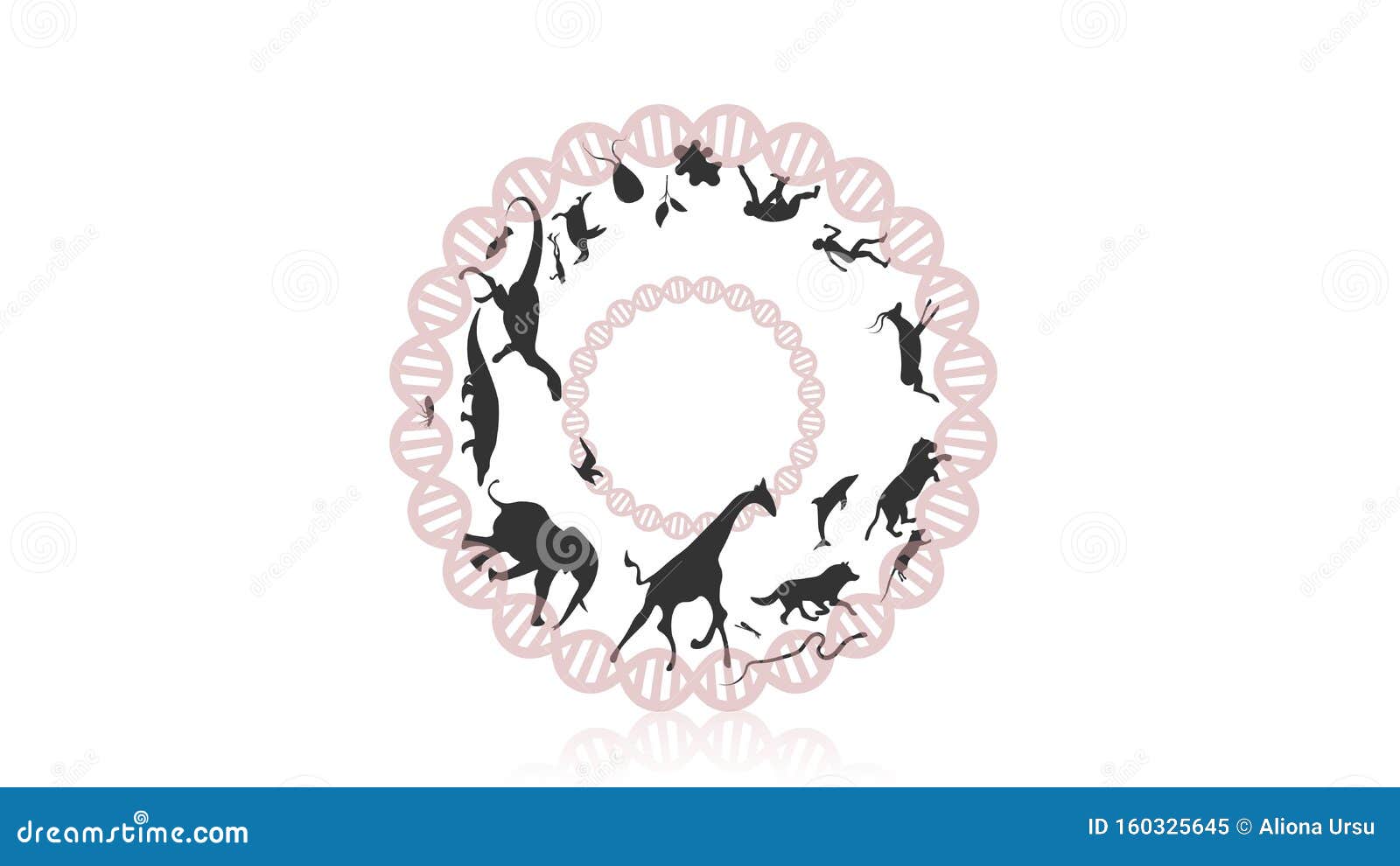 Evolution of Species Illustration Stock Vector - Illustration of human ...