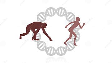 Evolution of Species Illustration Stock Vector - Illustration of ...