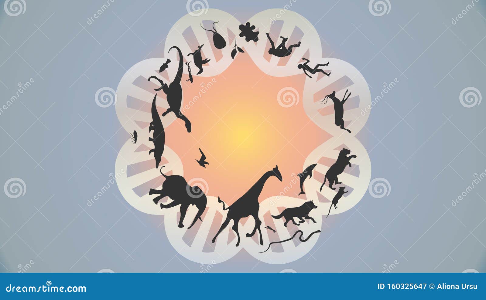 Evolution of Species Illustration Stock Vector - Illustration of gene ...