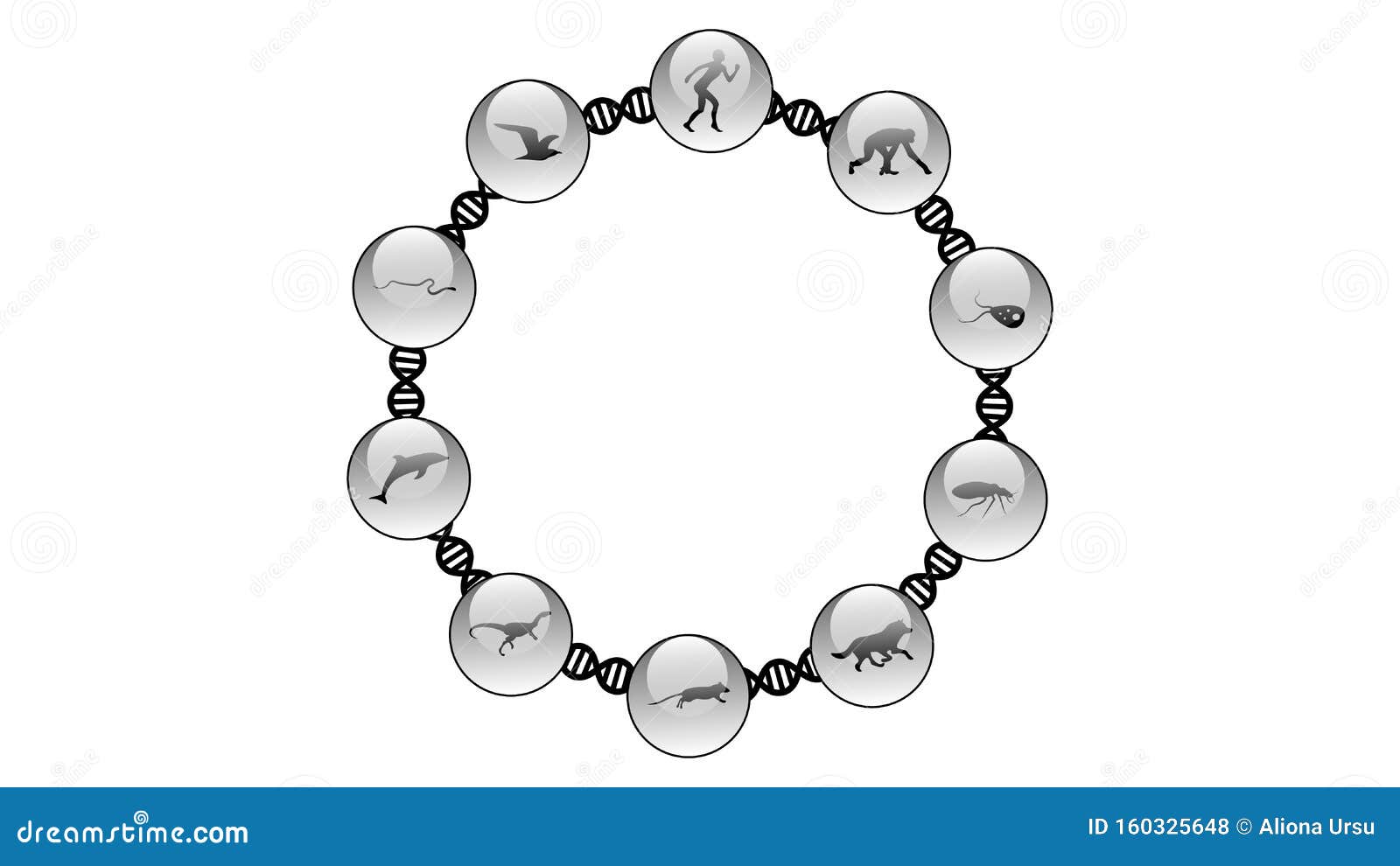 Evolution of Species Illustration Stock Vector - Illustration of ...