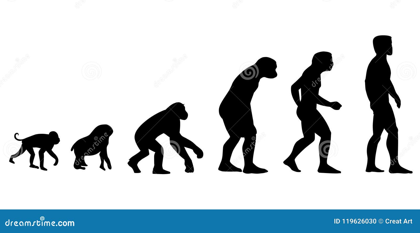 Theory Of Evolution Of Man Vector Illustration | CartoonDealer.com ...