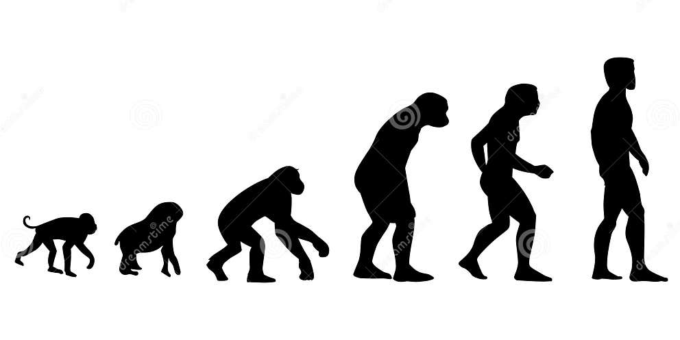 Evolution.Theory of Evolution of Man Vector Illustration.Human E Stock ...
