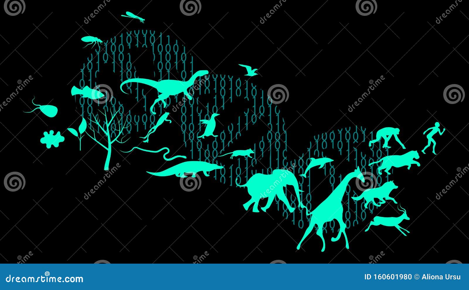 Evolution of Species. DNA - the Molecule of Life Stock Vector ...