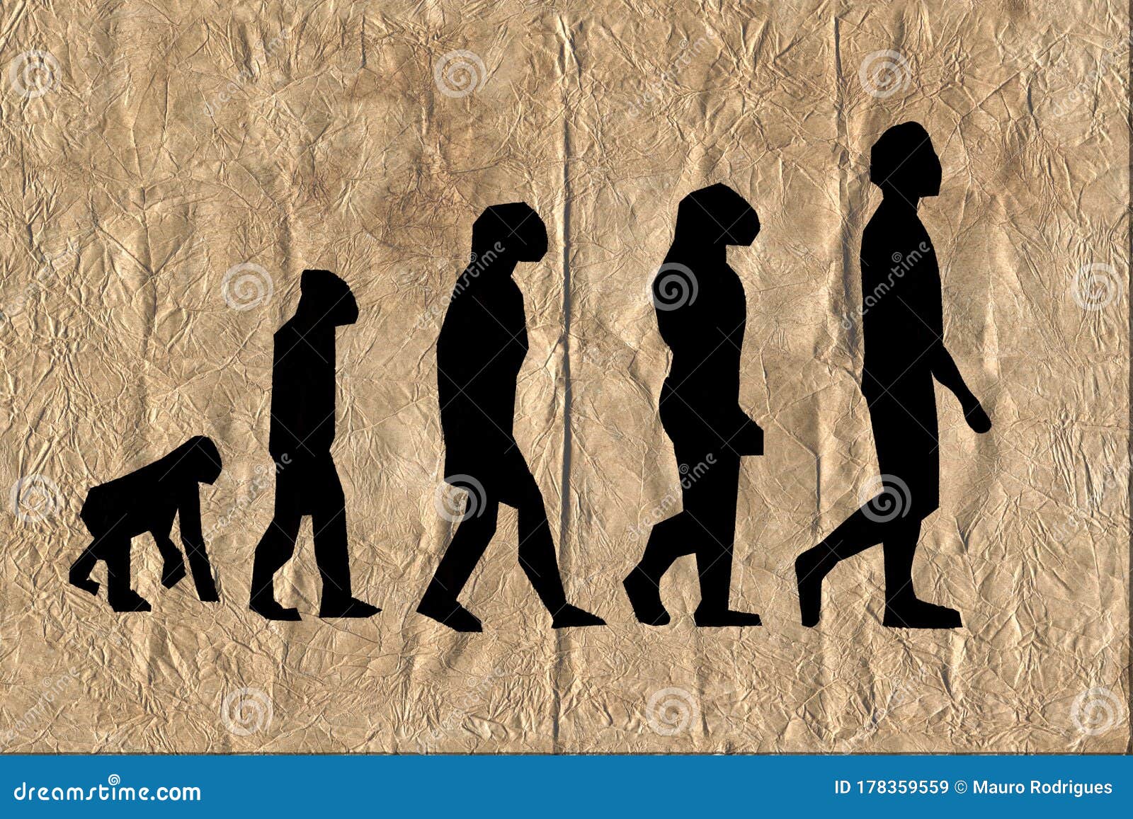 Charles Darwin Theory Of Evolution Of Man