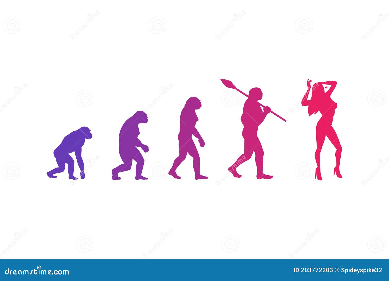 The Evolution Theory of Woman. Isolated Vector Illustration Stock ...