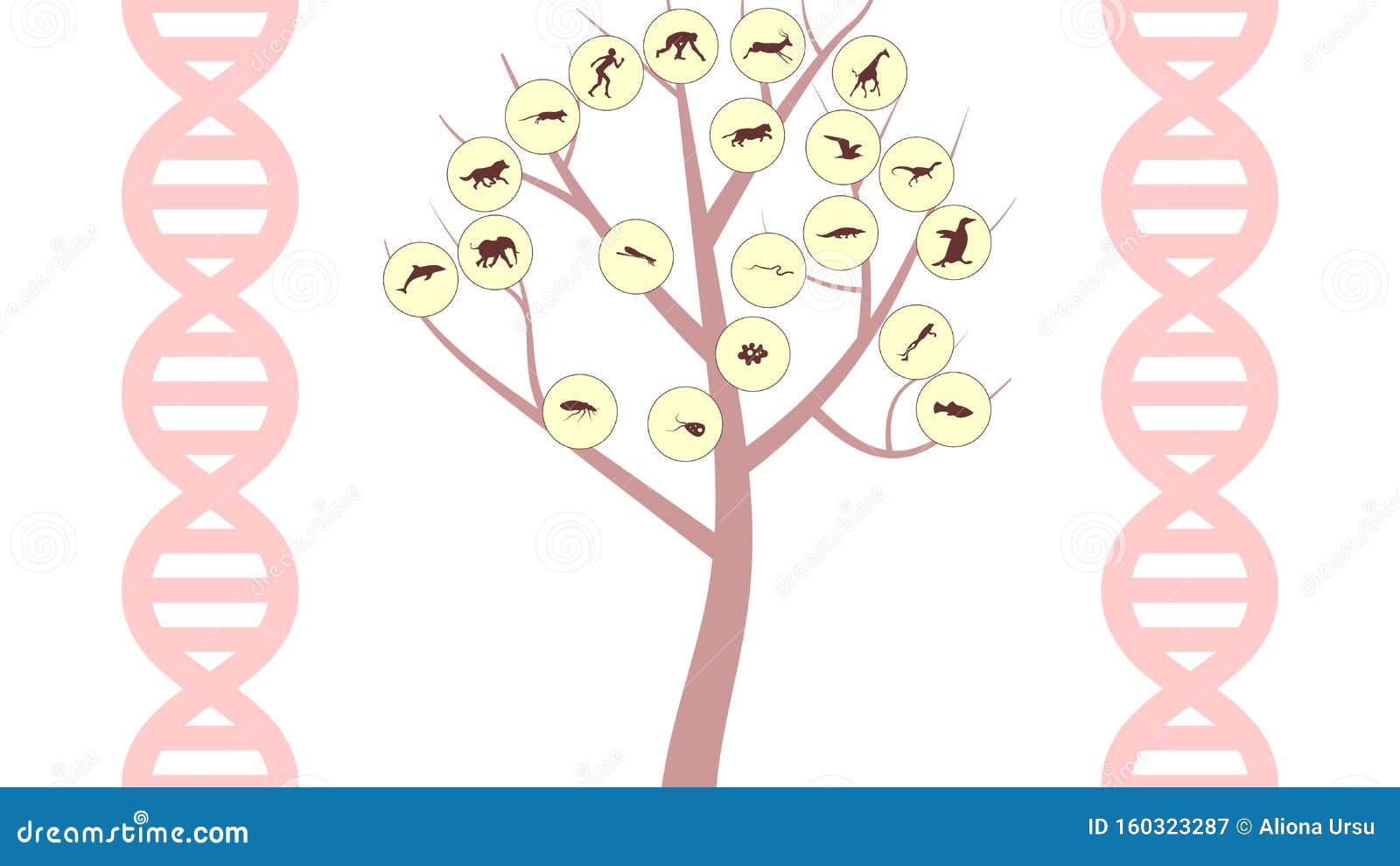 Evolution Tree Illustration Cartoon Vector | CartoonDealer.com #160323289