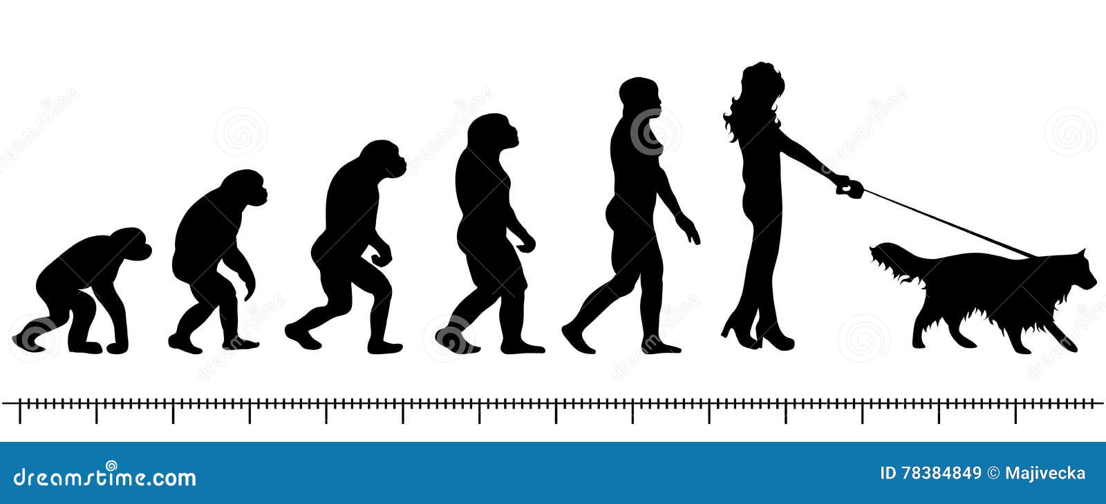 Evolution Of Woman. Human Growth, Cartoon Business Human And Primitive ...