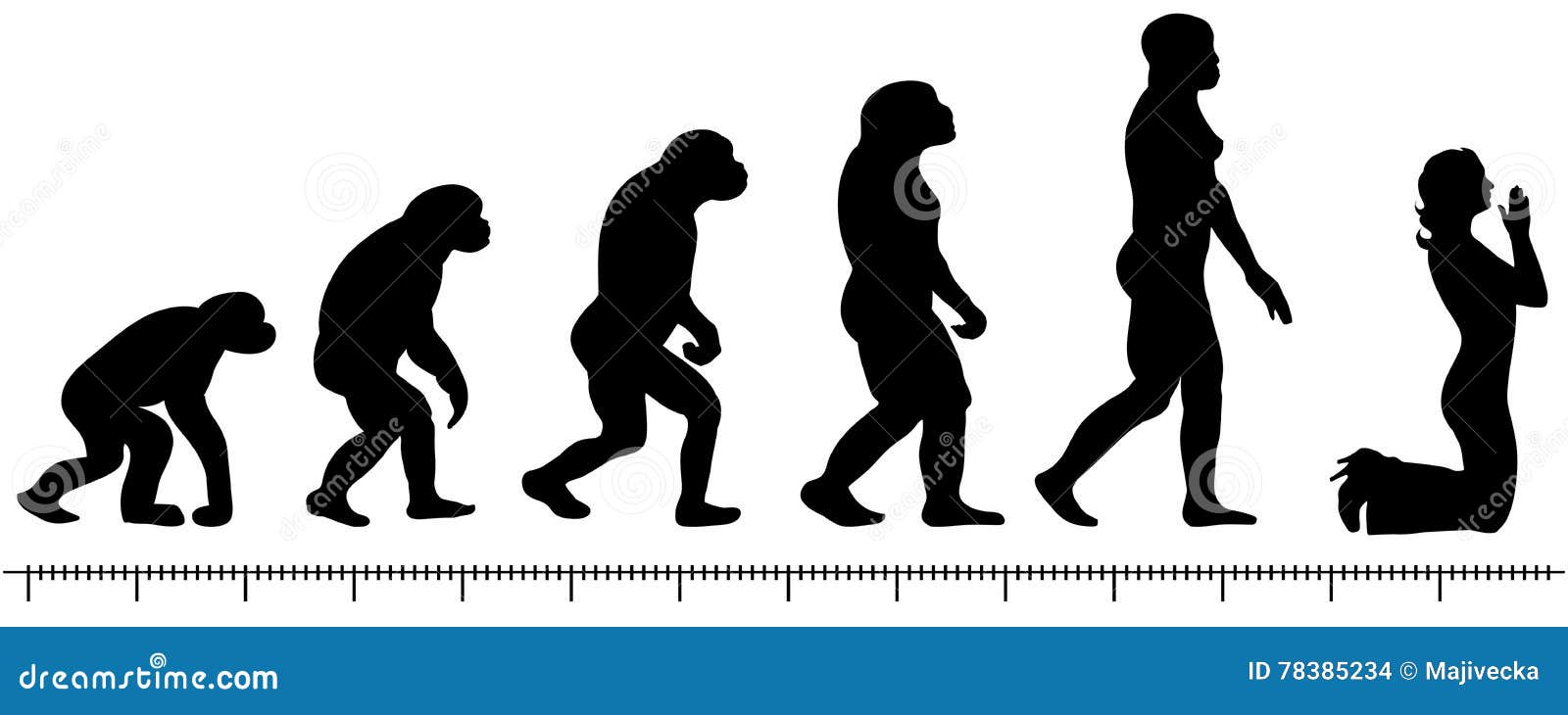 Evolution Of Woman. Human Growth, Cartoon Business Human And Primitive ...
