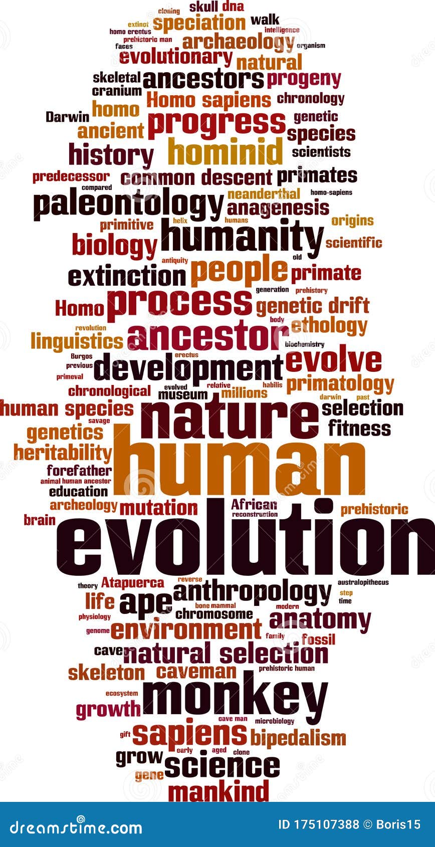 Evolution Word Letters DNA Strand Family Ancestors Genes Royalty-Free ...