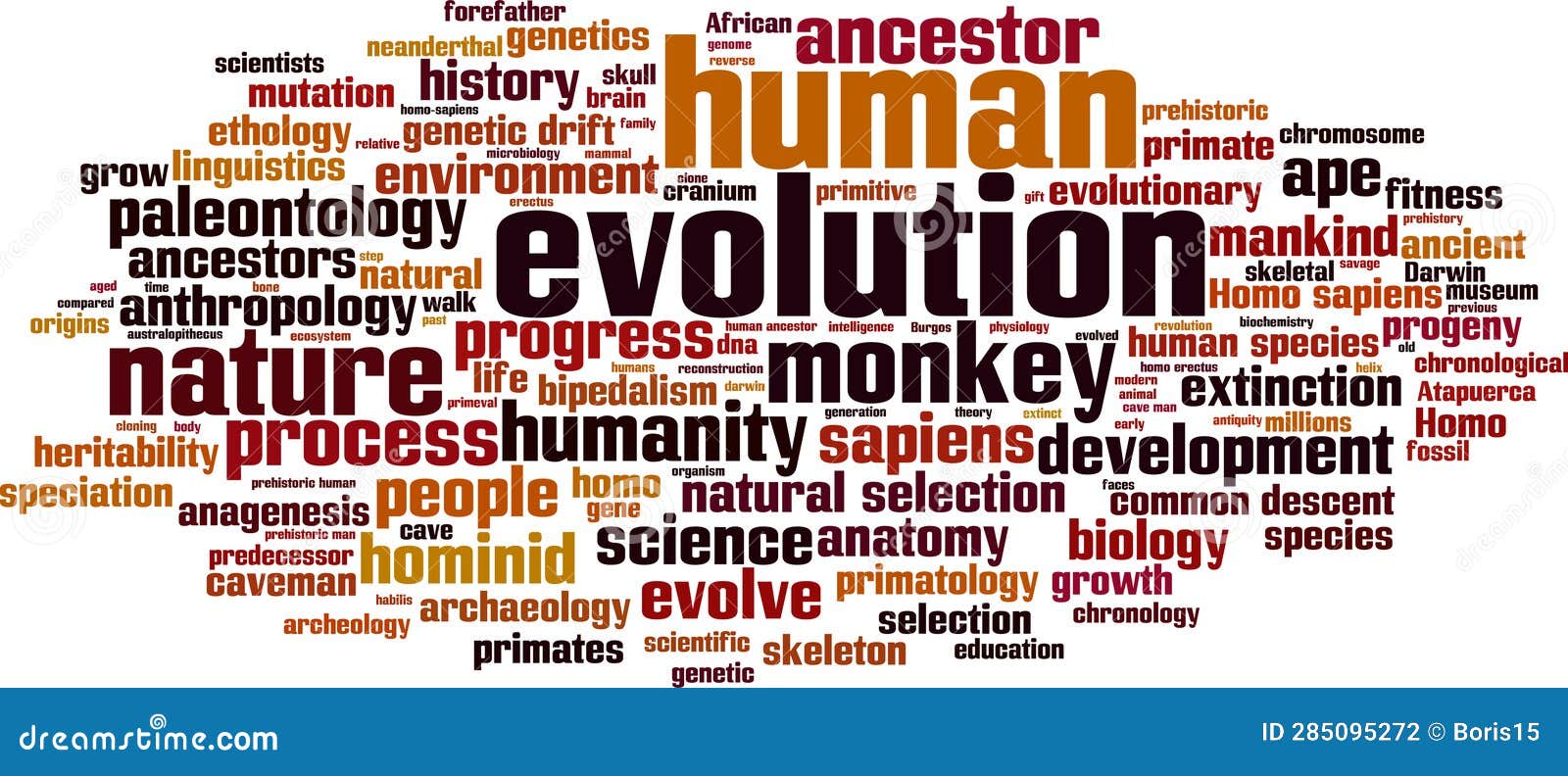 Evolution Word Cloud Royalty-Free Stock Photo | CartoonDealer.com ...