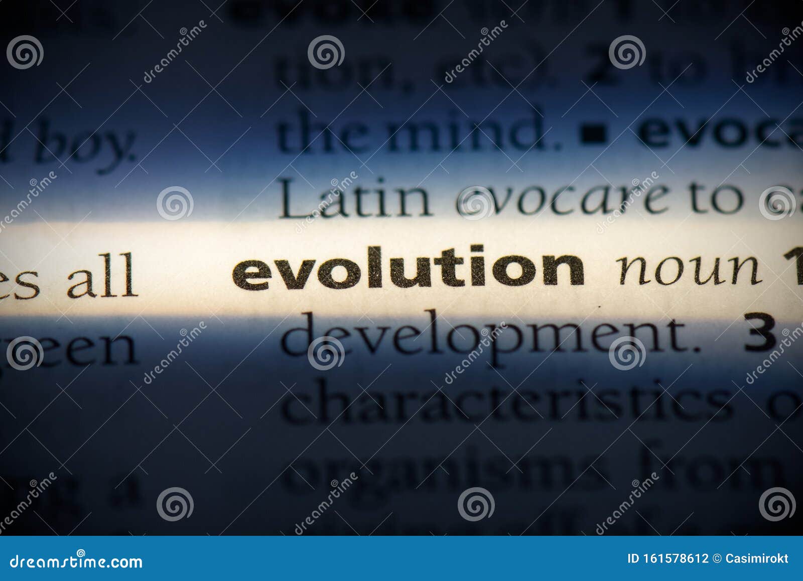 Evolution stock photo. Image of idea, isolated, reference - 161578612