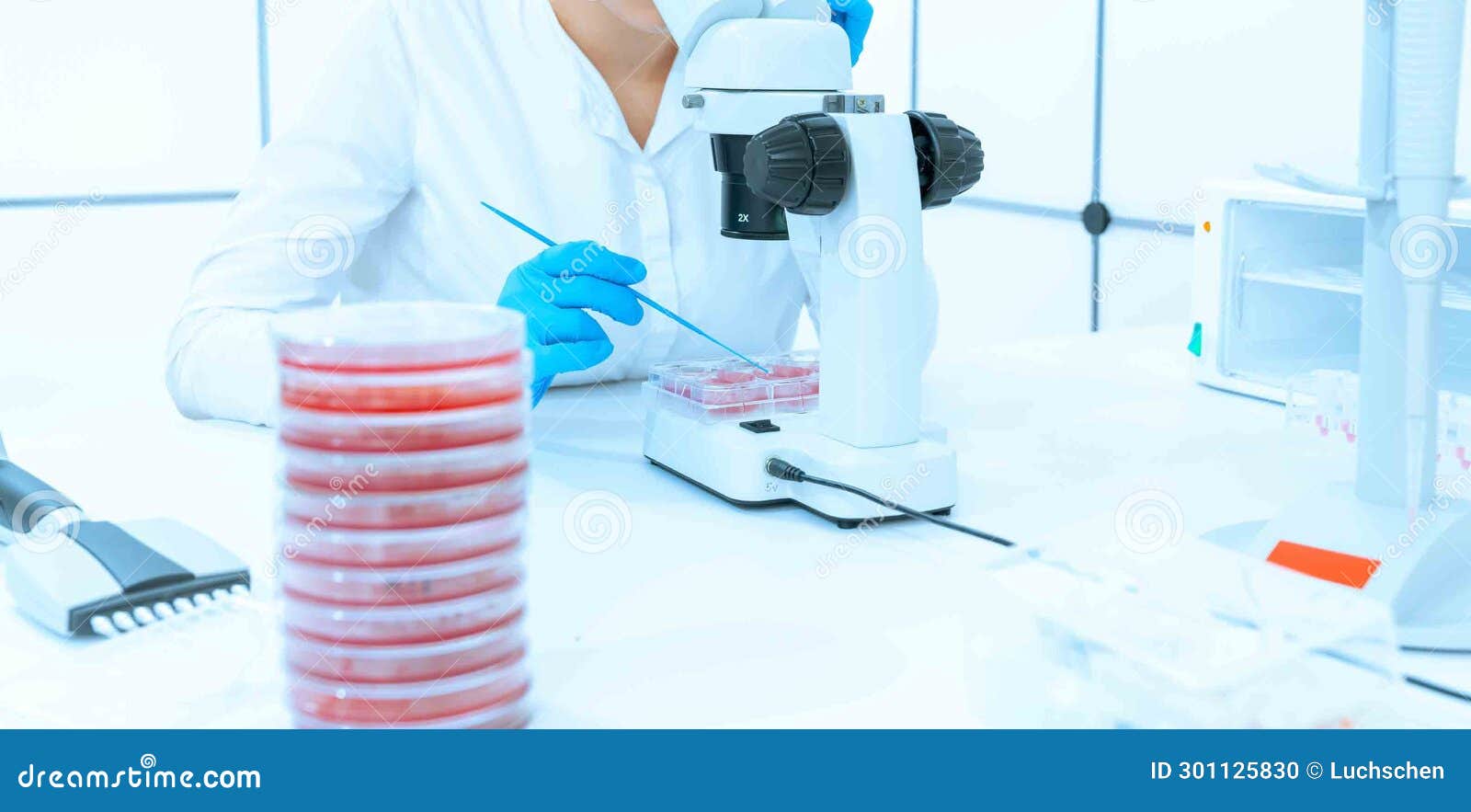 Evolutionary Research: Microscopes are Used To Study Historical Specim ...