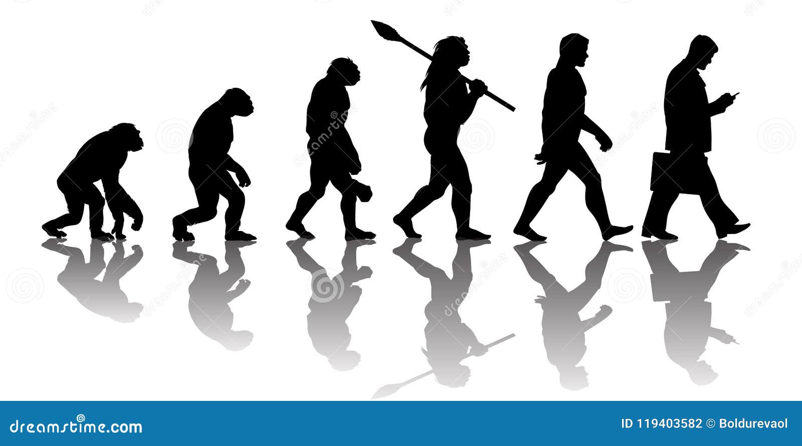 Evolutionstheorie Des Mannes Schattenbild Mit Reflexion Vektor ...