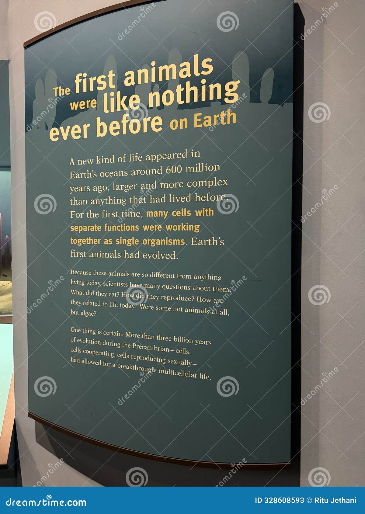 Evolving Planet Exhibit at the Field Museum in Chicago, Illinois ...