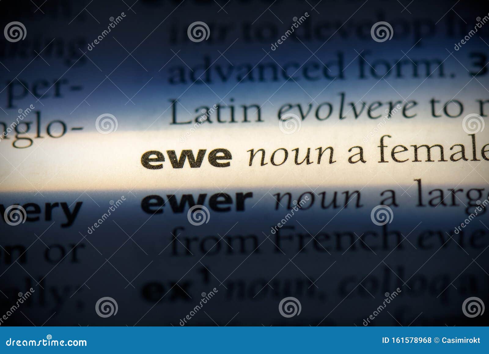 Ewe stock photo. Image of printed, language, minimal - 161578968