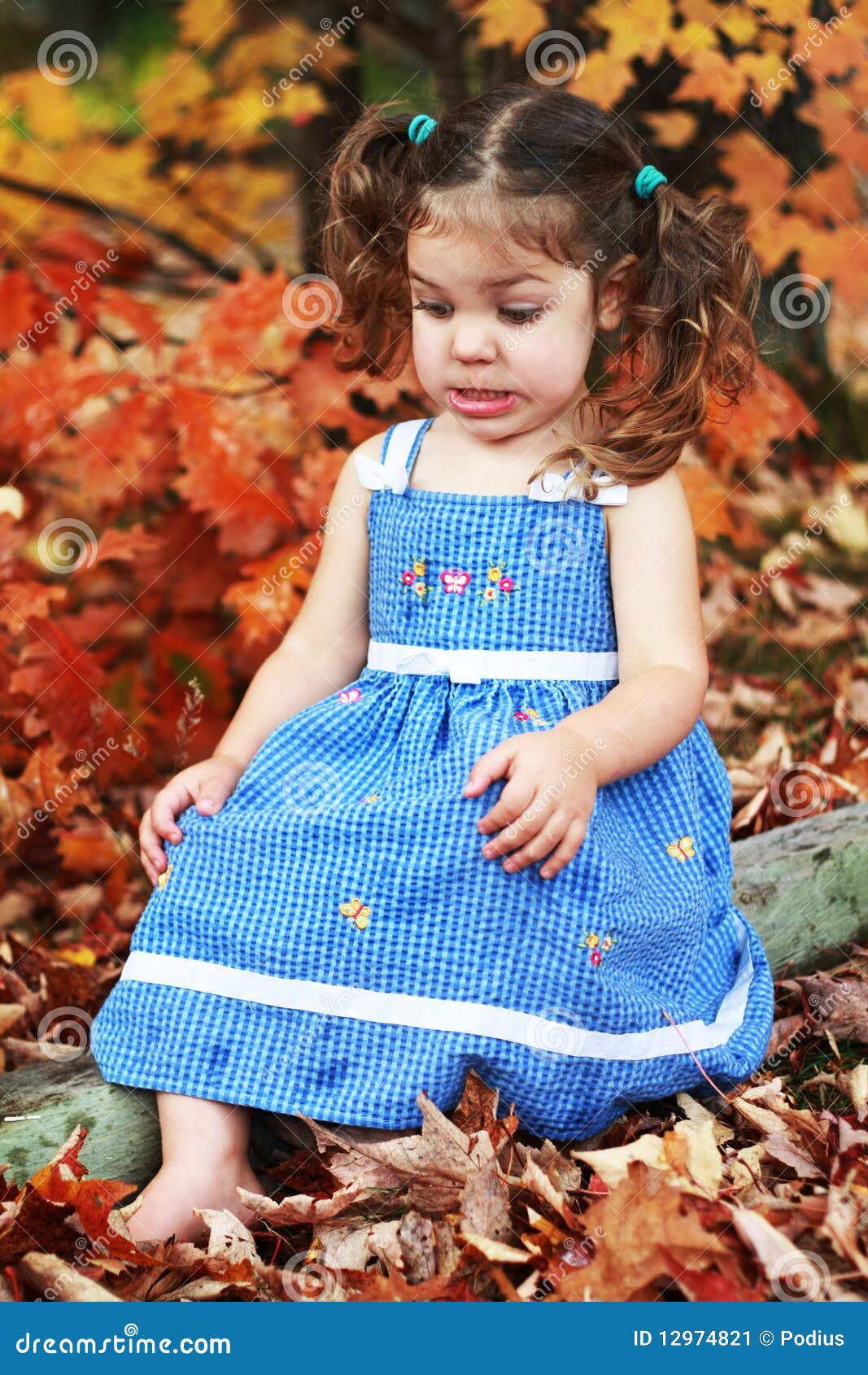Eww, What s that stock image. Image of blue, leaf, foliage - 12974821