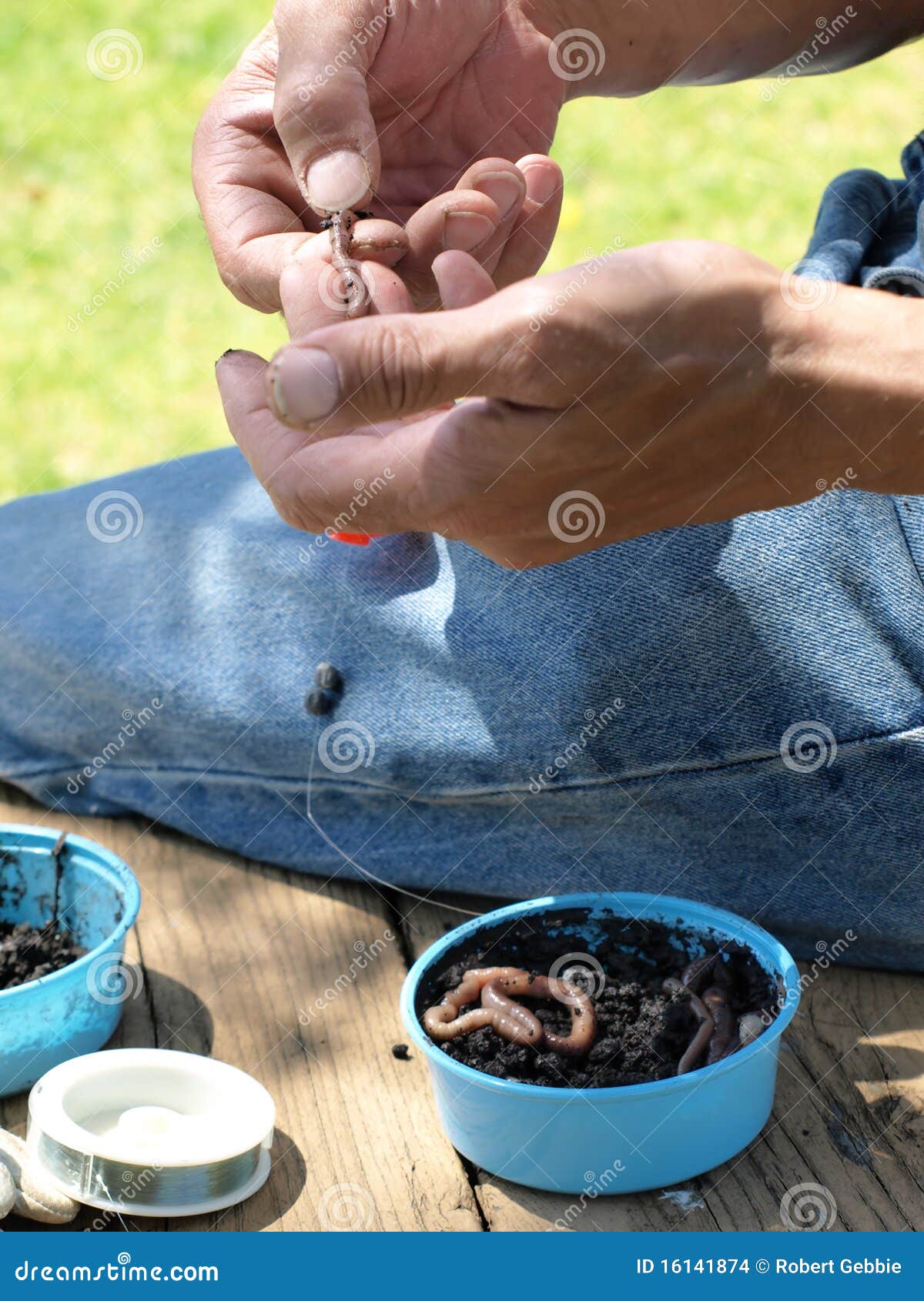 Eww Worms stock photo. Image of hooked, sunny, fishing - 16141874