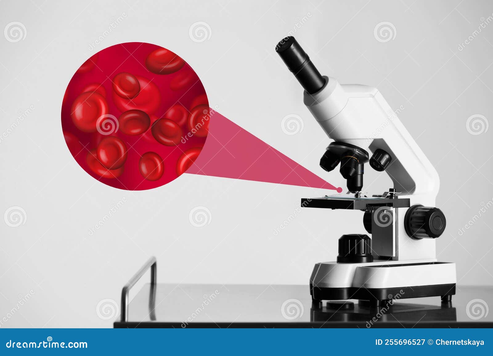 Examination of Blood Sample Under Microscope in Laboratory Stock Image ...