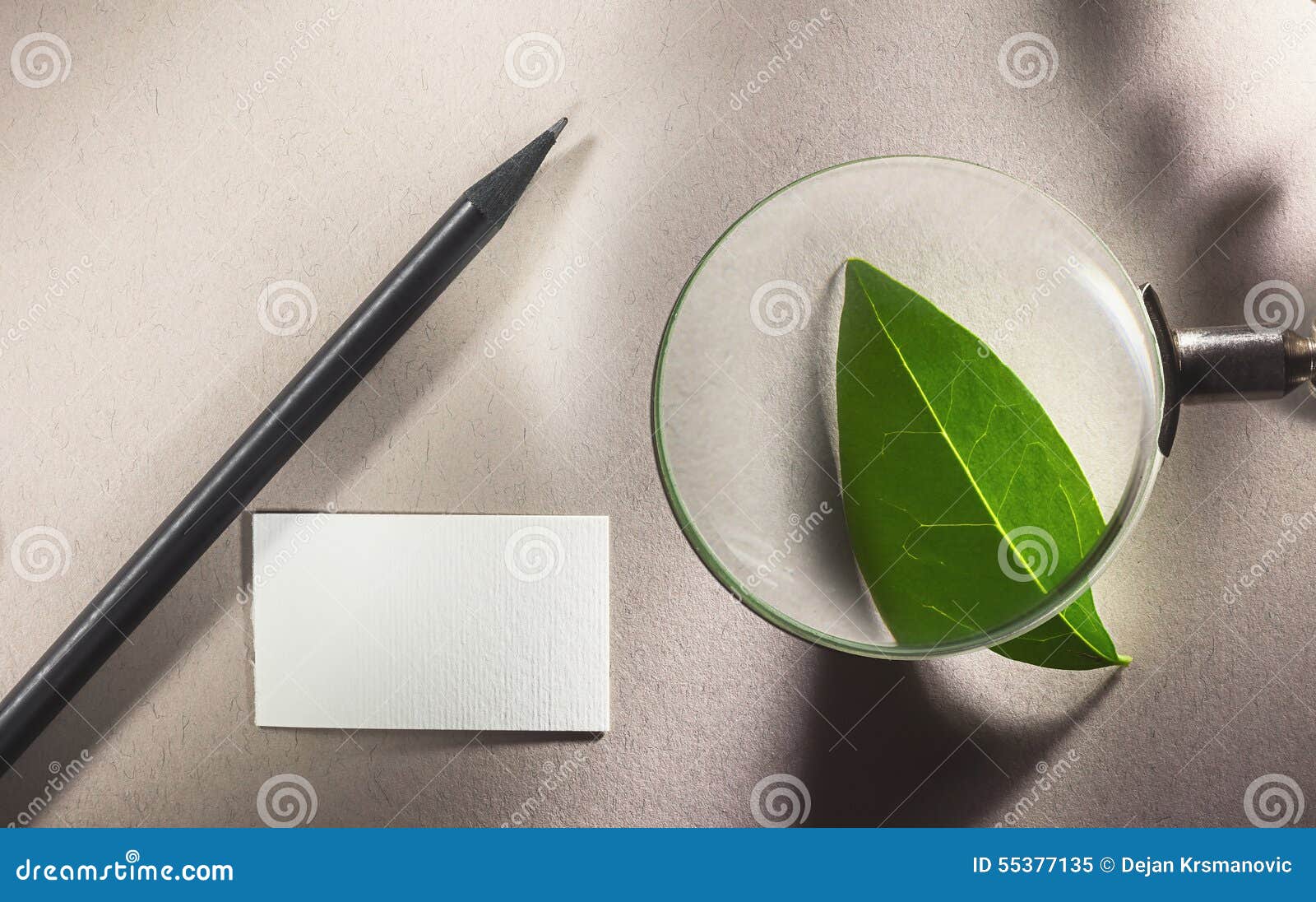 Examination stock image. Image of idea, healthy, magnify - 55377135