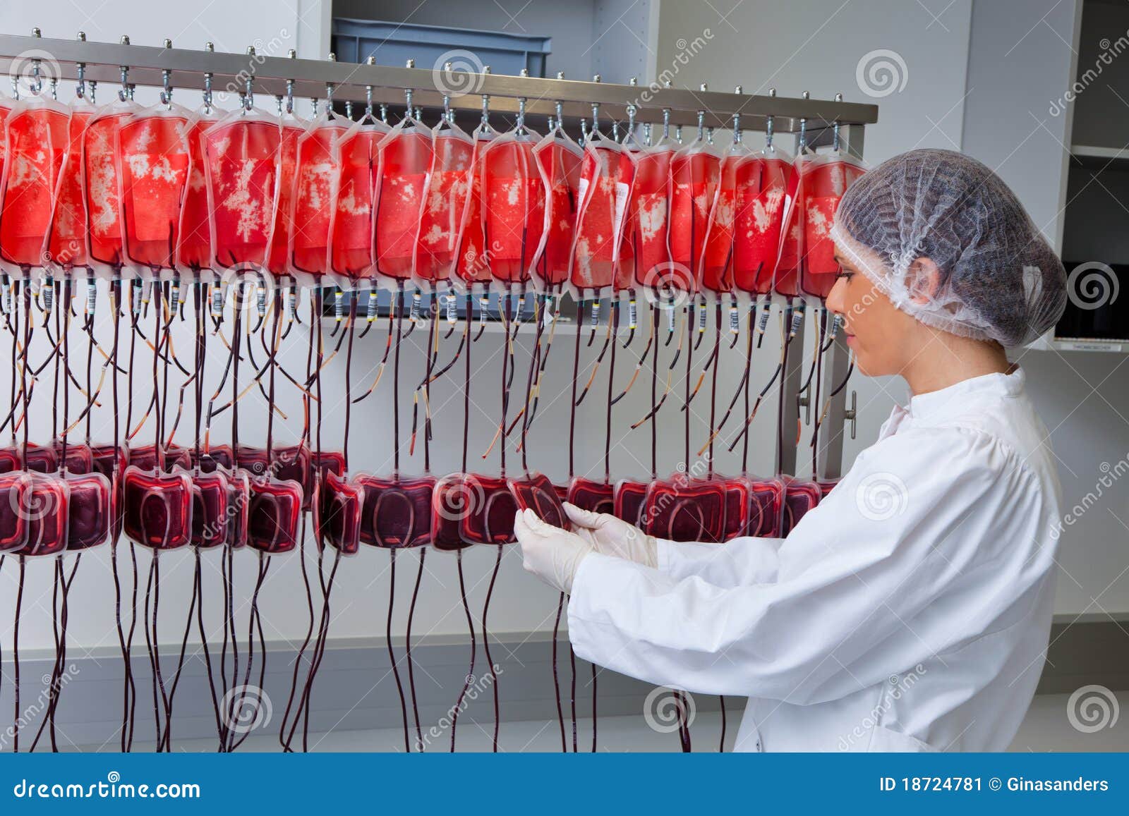 Examination of Donor Blood in the Blood Laboratory Stock Image - Image ...