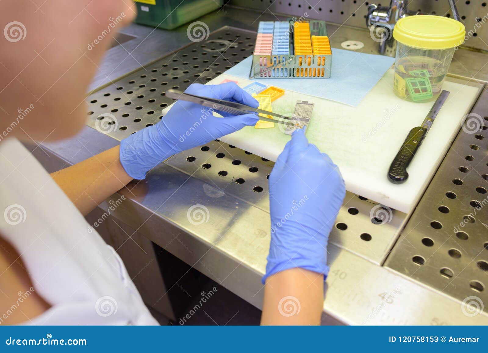 Examination of the Evidence Stock Image - Image of science, death ...