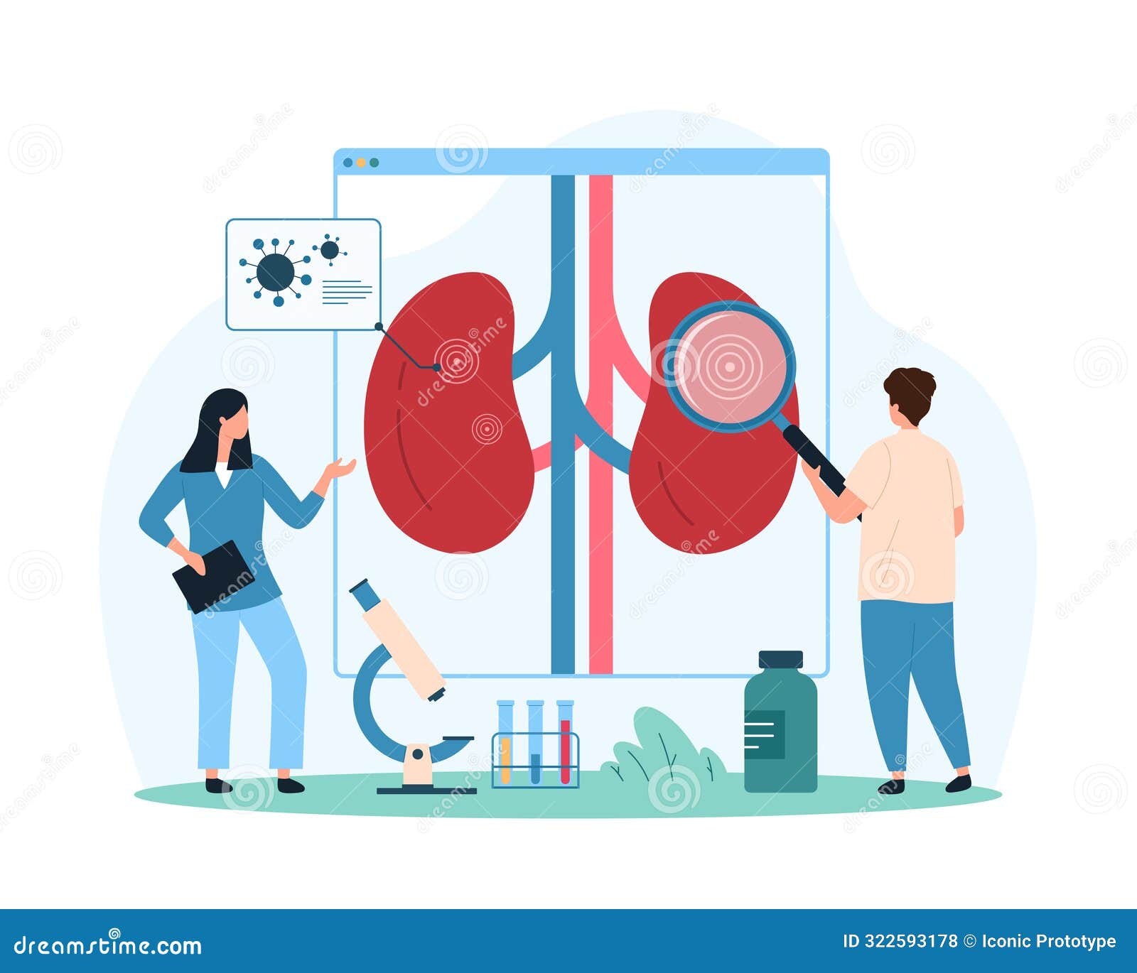 Examination of Kidneys, Urinary System for Infection by Tiny People ...