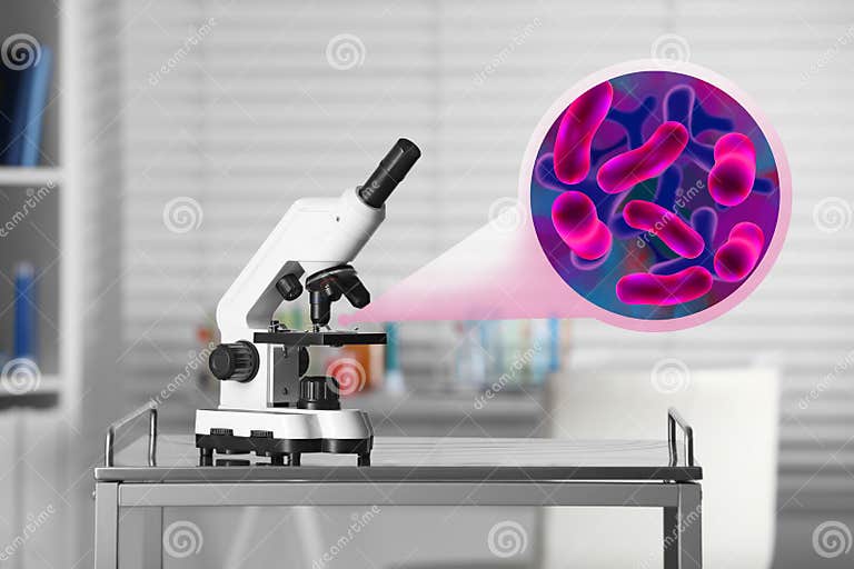 Examination of Sample with Bacteria Under Microscope in Laboratory ...