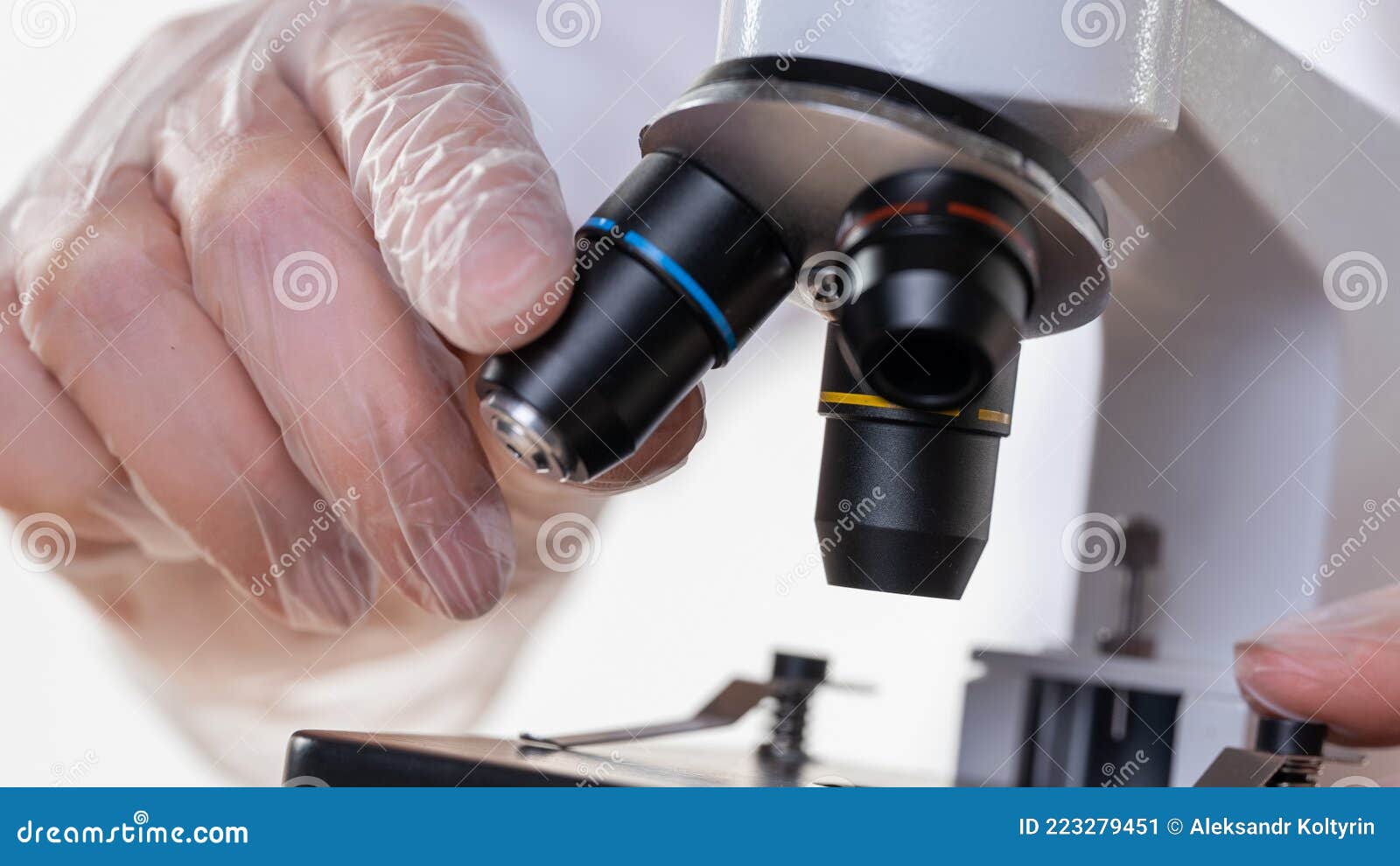 Examination of Samples Under a Microscope, Science or Training. Stock ...