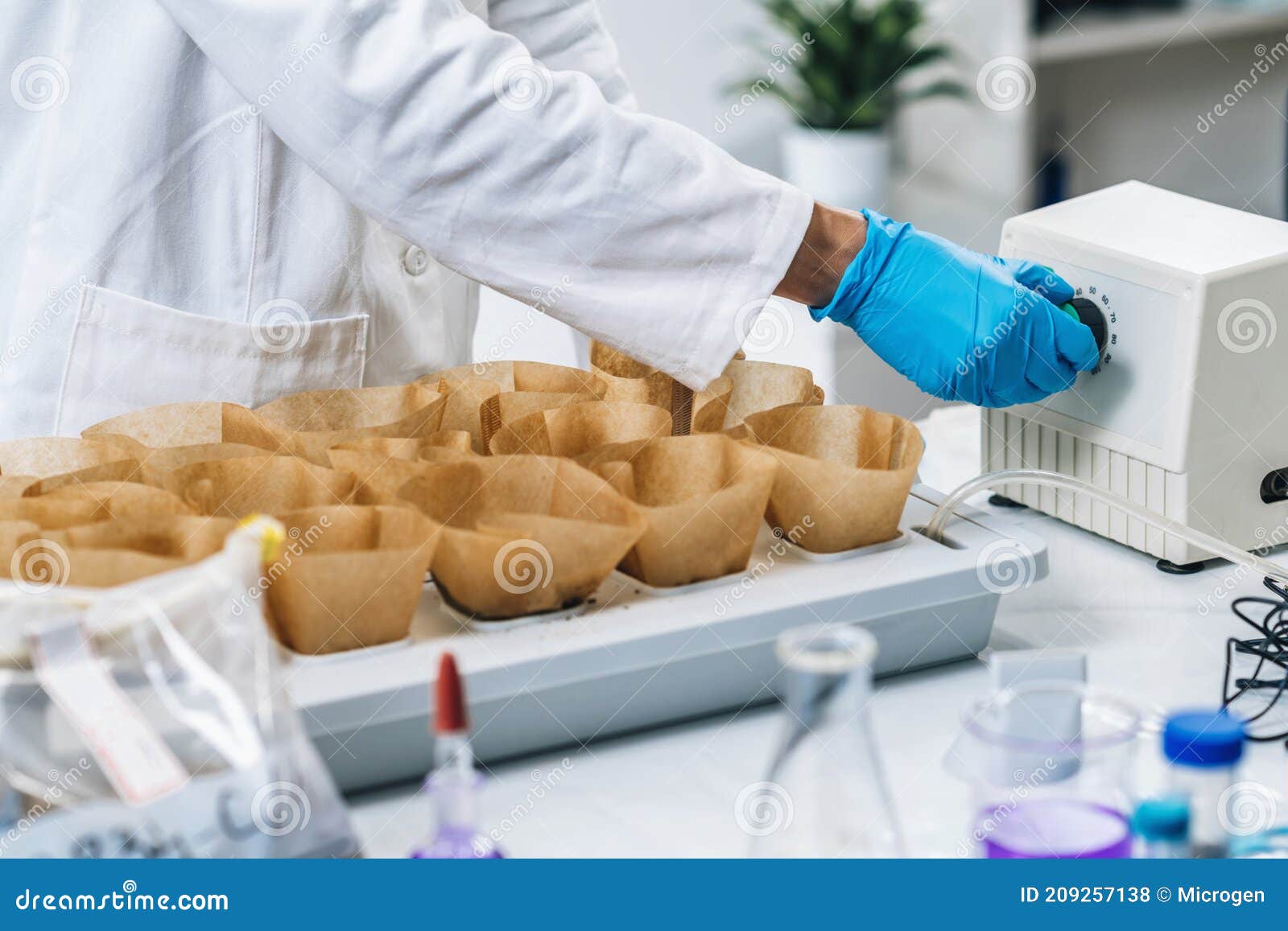 Soil Testing. Laboratory Analysis Stock Photo - Image of biological ...