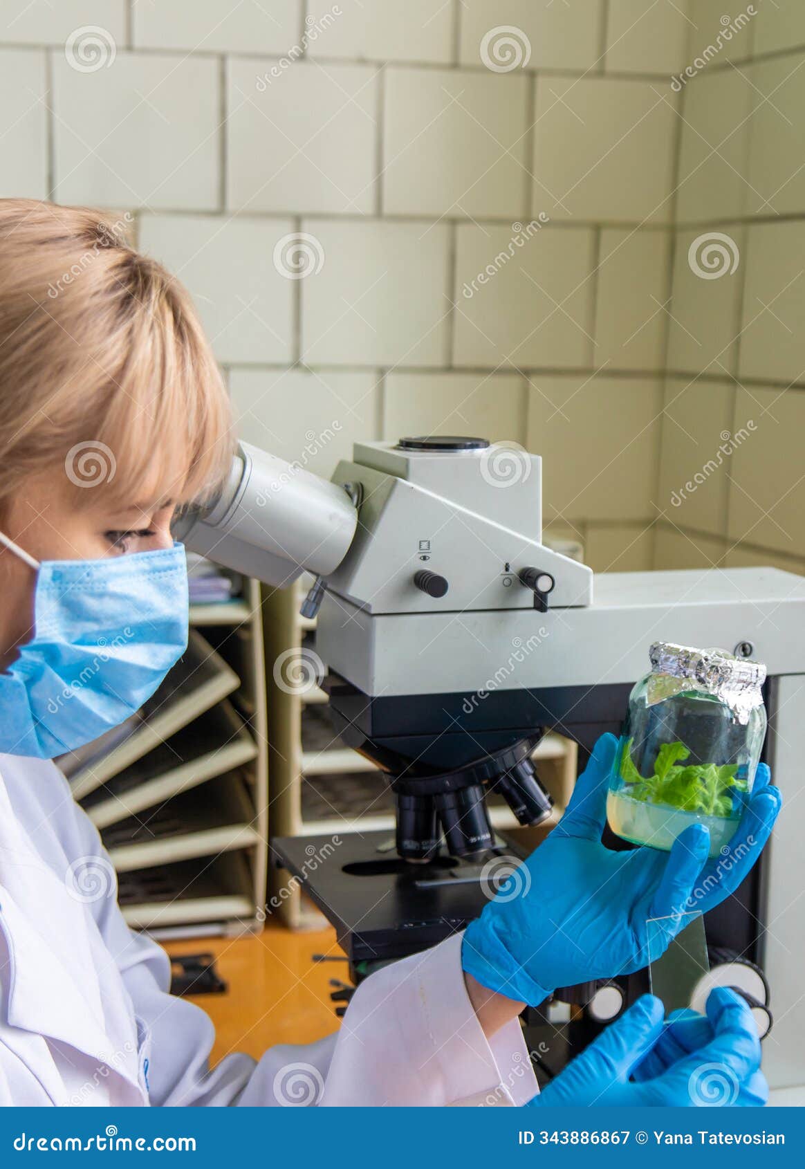 Examine in the Laboratory Under a Microscope. Selective Focus Stock ...
