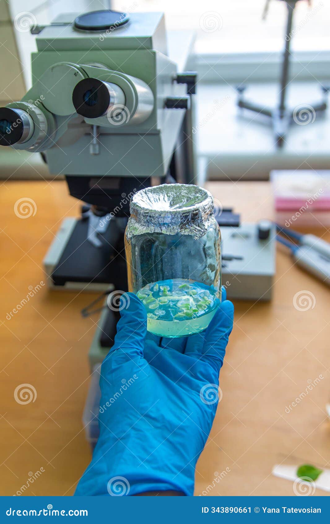 Examine in the Laboratory Under a Microscope. Selective Focus Stock ...