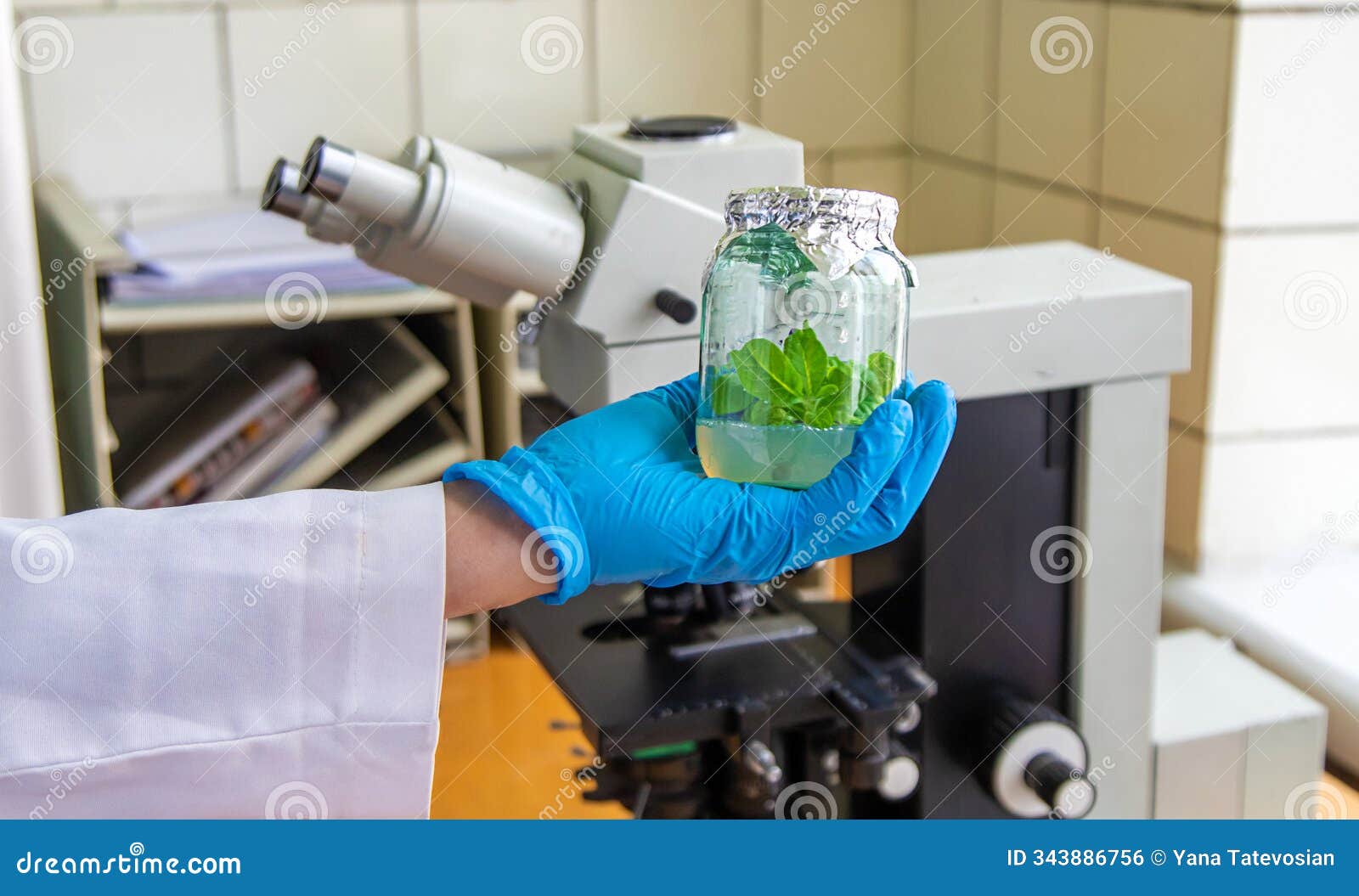 Examine in the Laboratory Under a Microscope. Selective Focus Stock Photo - Image of ...