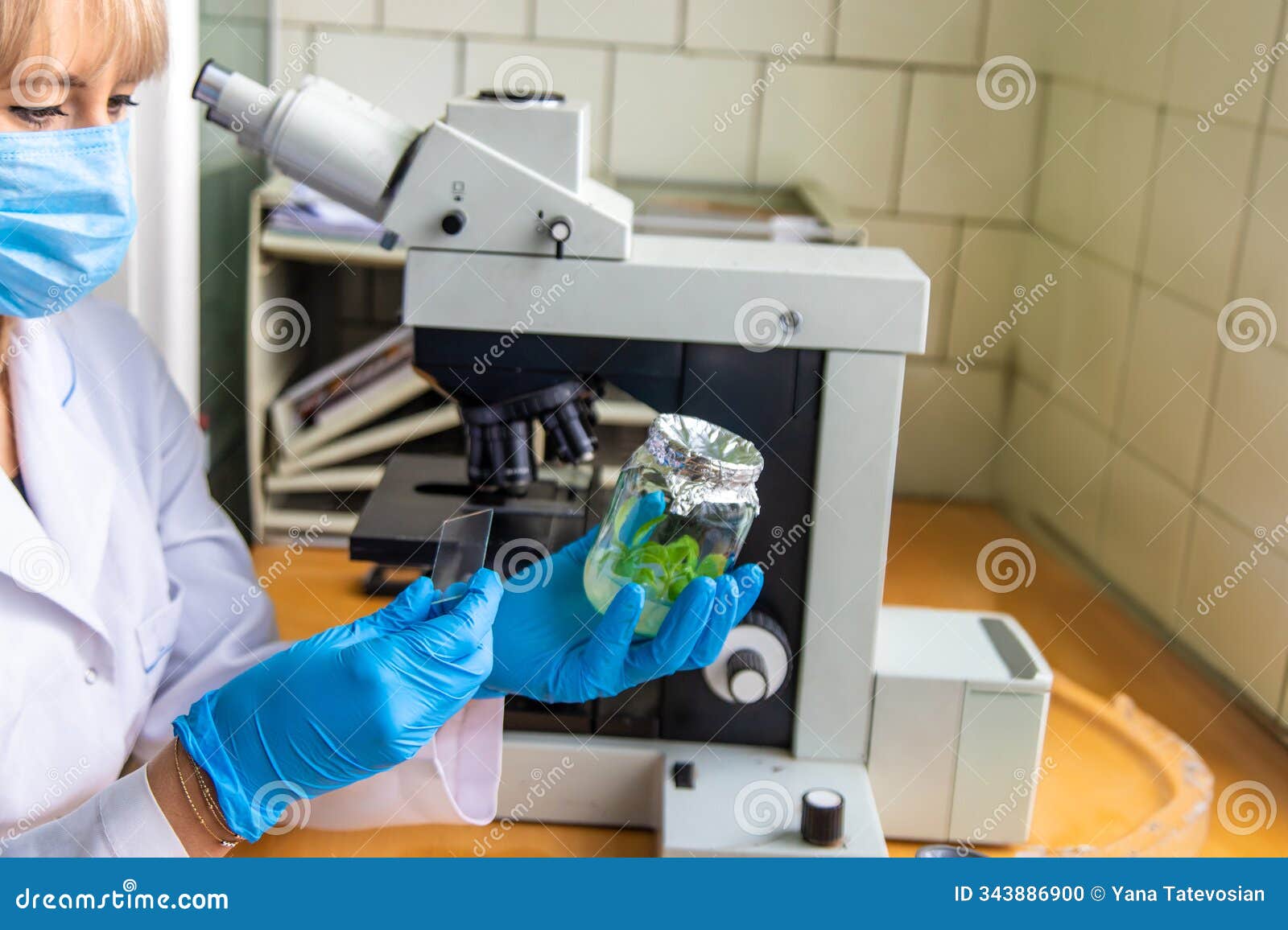 Examine in the Laboratory Under a Microscope. Selective Focus Stock ...