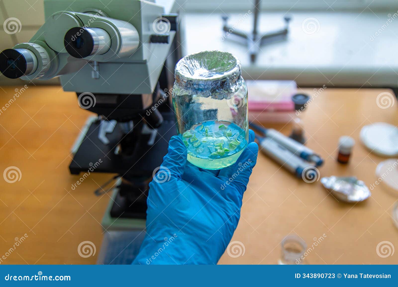 Examine in the Laboratory Under a Microscope. Selective Focus Stock ...