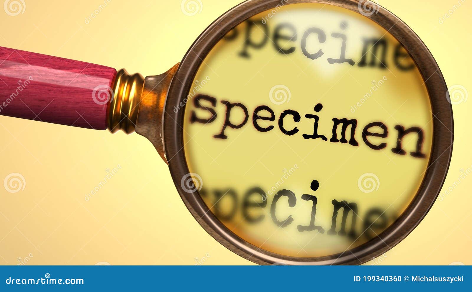 Examine and Study Specimen, Showed As a Magnify Glass and Word Specimen ...