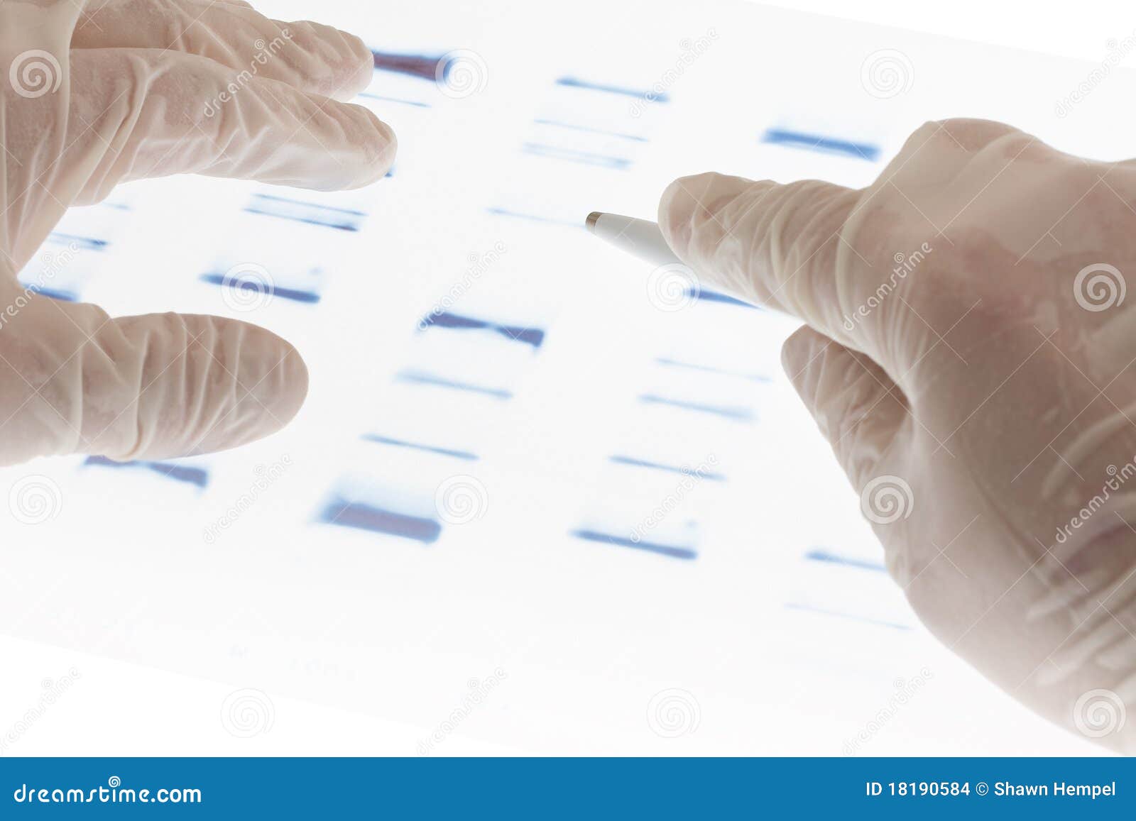 Examing DNA transparency stock photo. Image of researching - 18190584