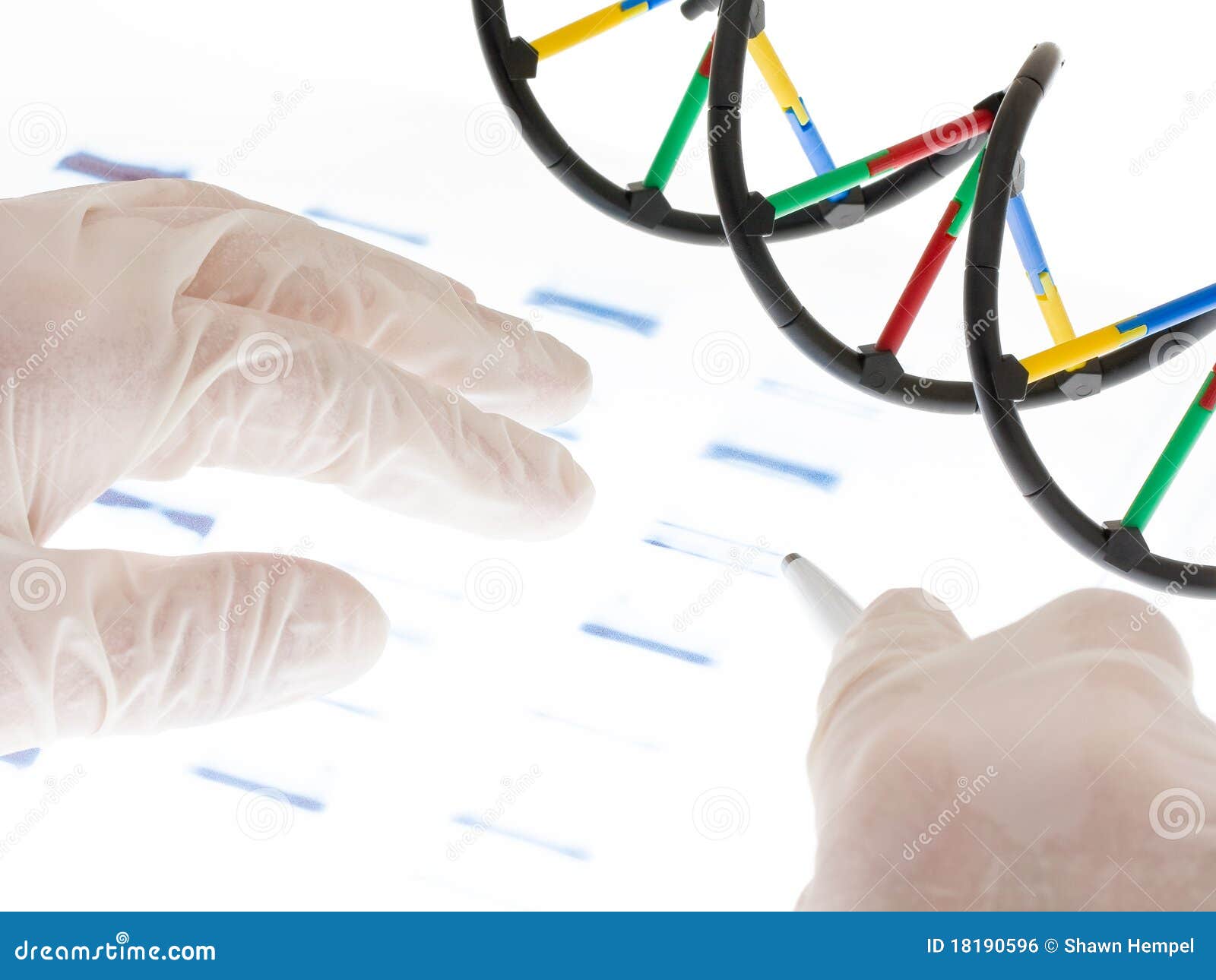 Examing DNA transparency stock photo. Image of profession - 18190596
