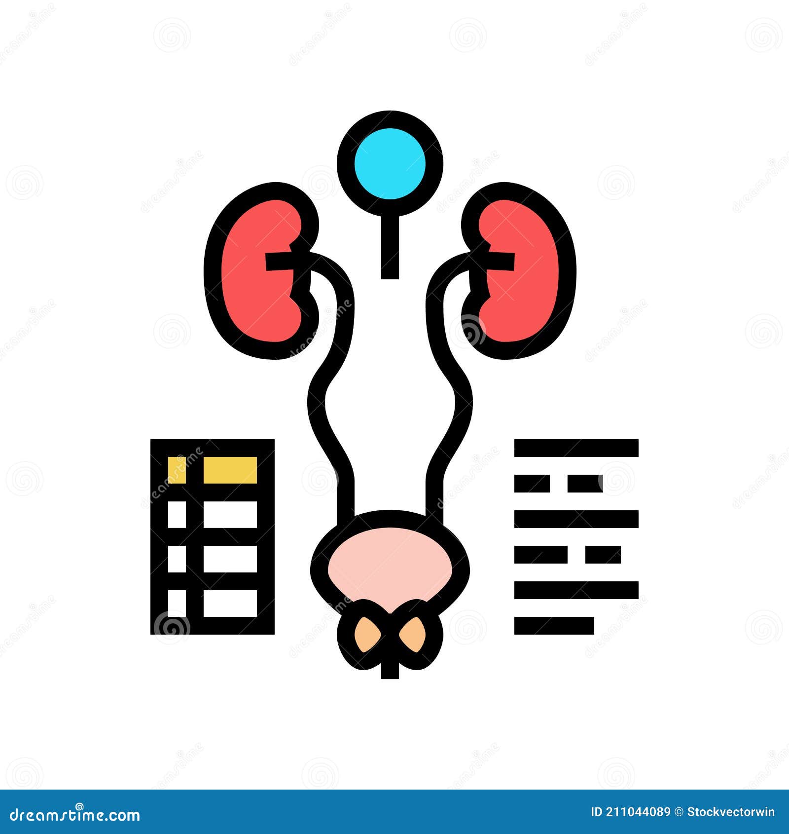 Examining Genitourinary System Color Icon Vector Illustration Stock ...