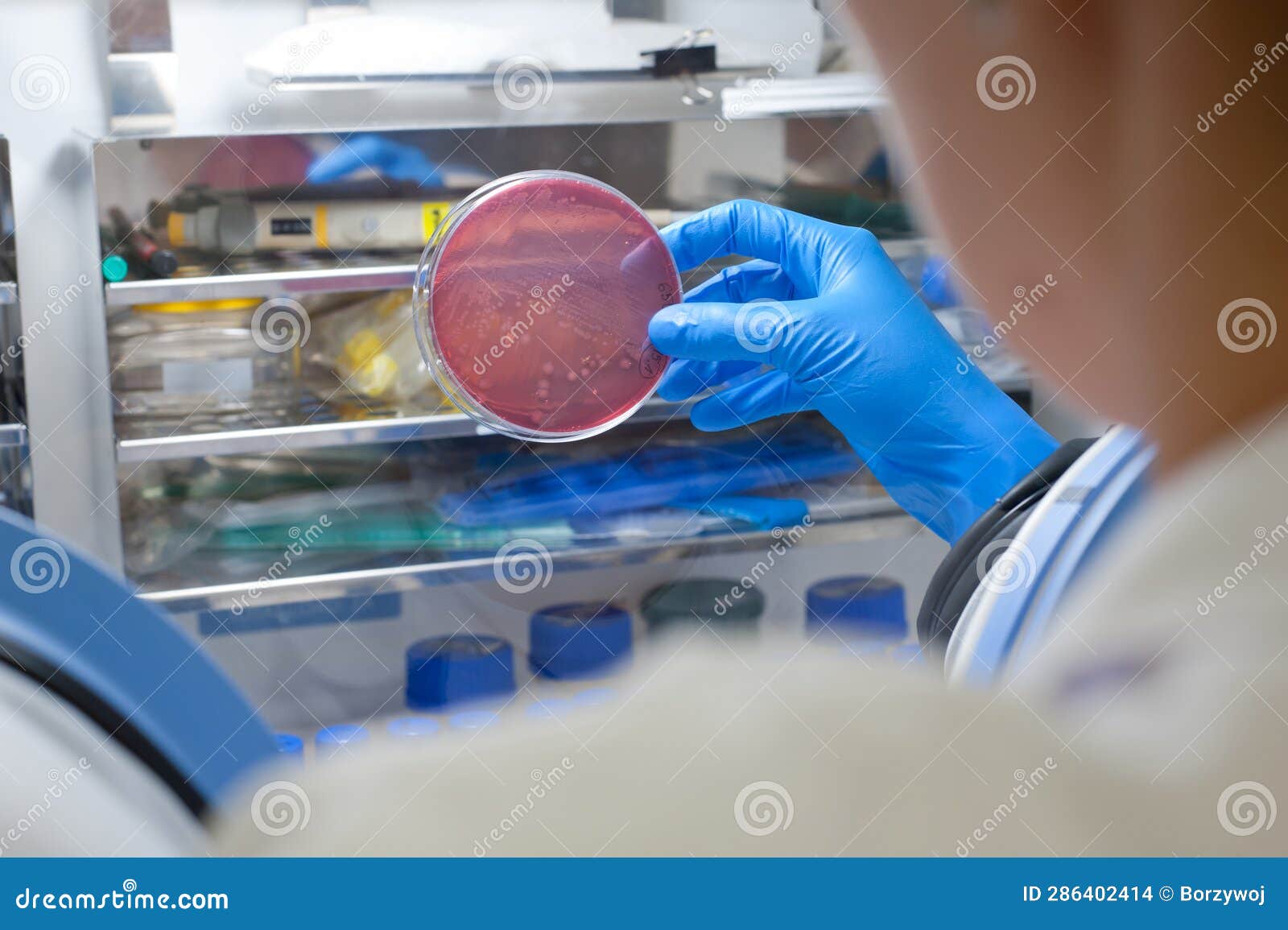 Examining plate stock photo. Image of elbow, scientist - 286402414 Examining plate stock photo. Image of elbow, scientist - 286402414