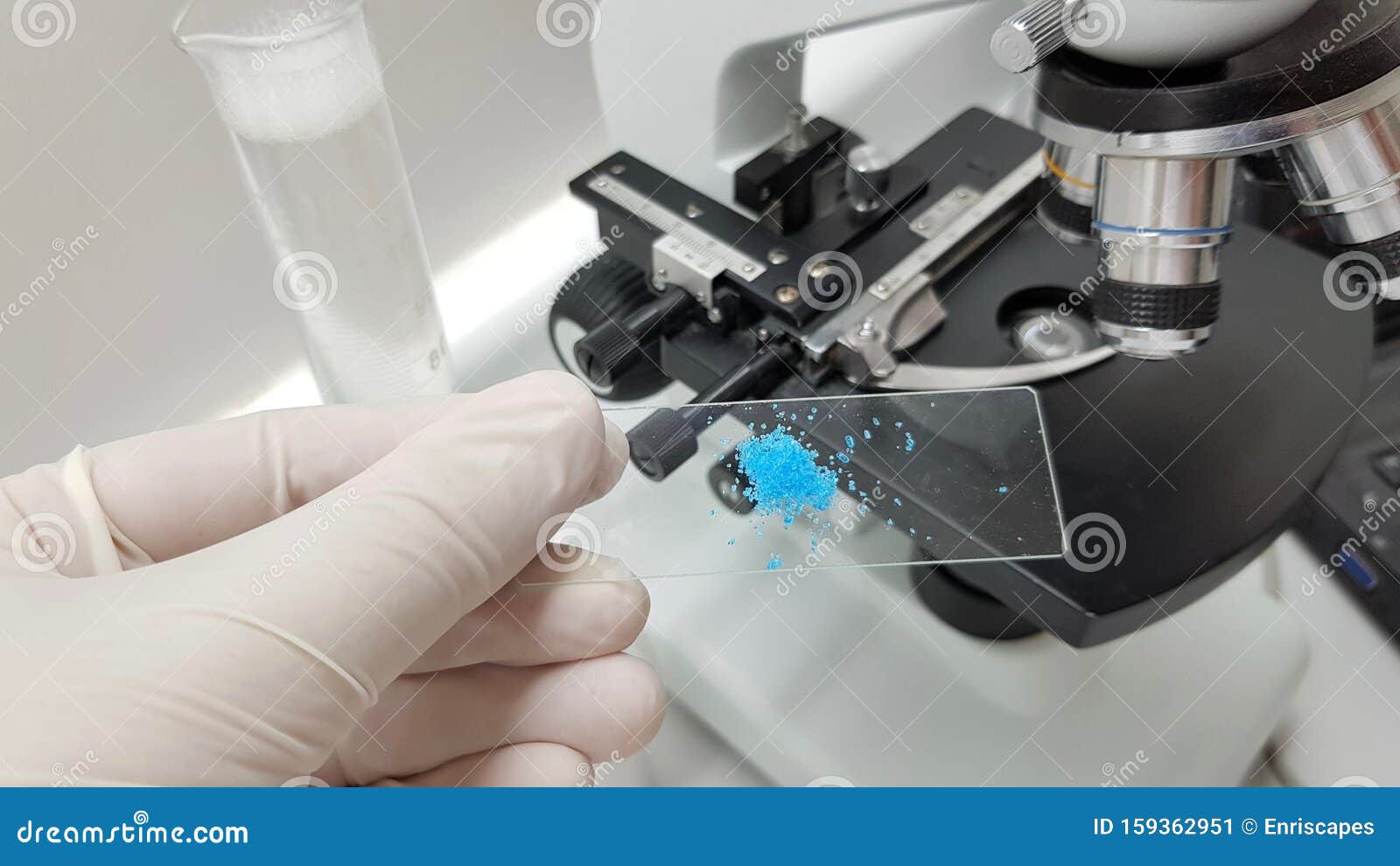 Examining a Sample Under a Microscope Stock Image - Image of laboratory ...