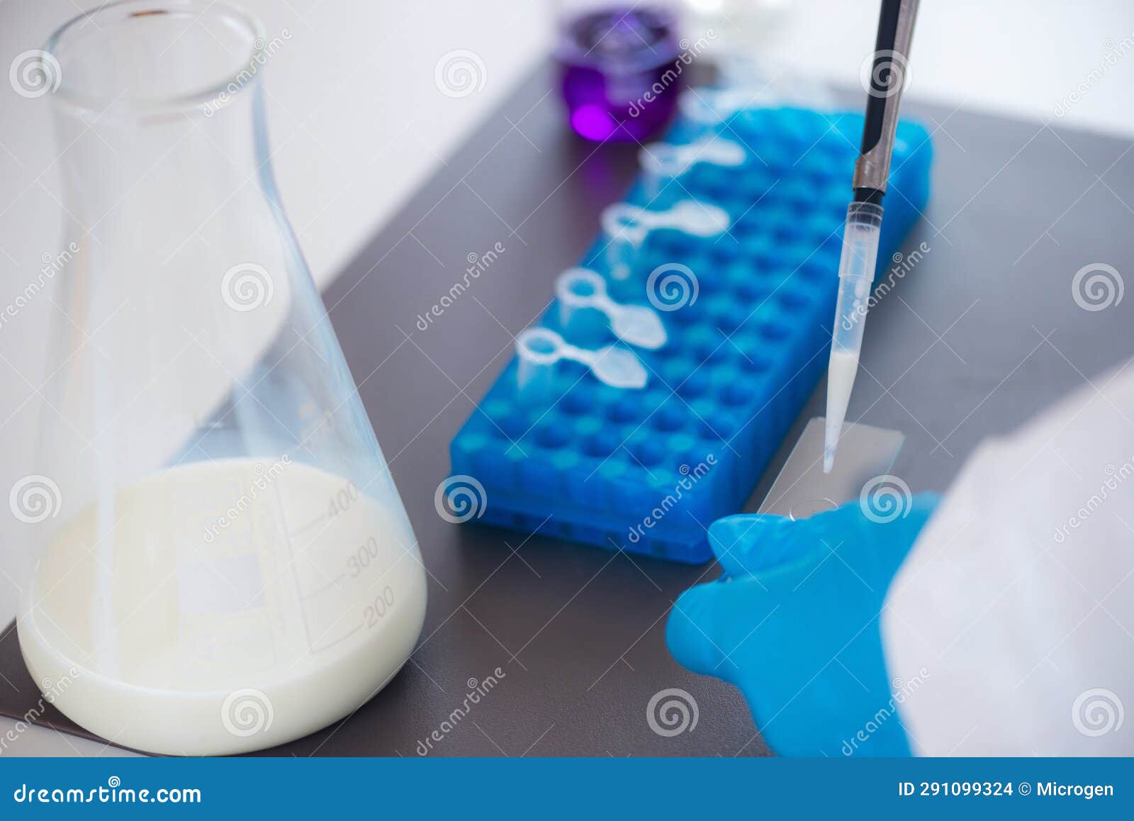 An Expert Assesses Milk Quality in a Laboratory, Using Test Tubes for ...
