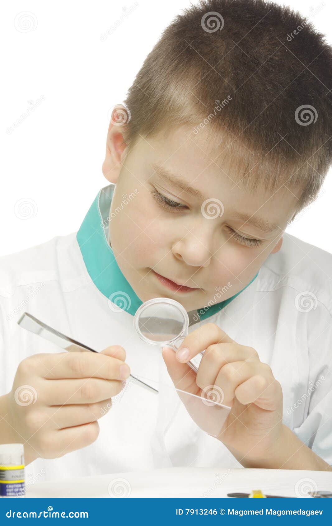 Examining specimen stock photo. Image of examining, magnifying - 7913246